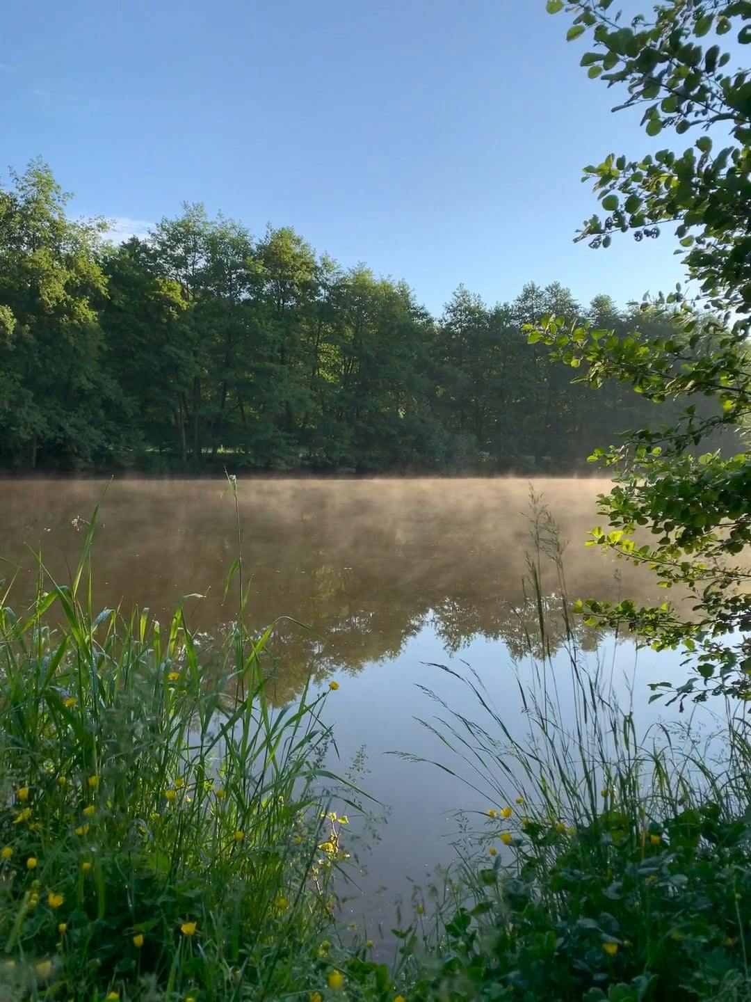 A Thin Mist Covering The Surface Of A Lake · Free Stock Video