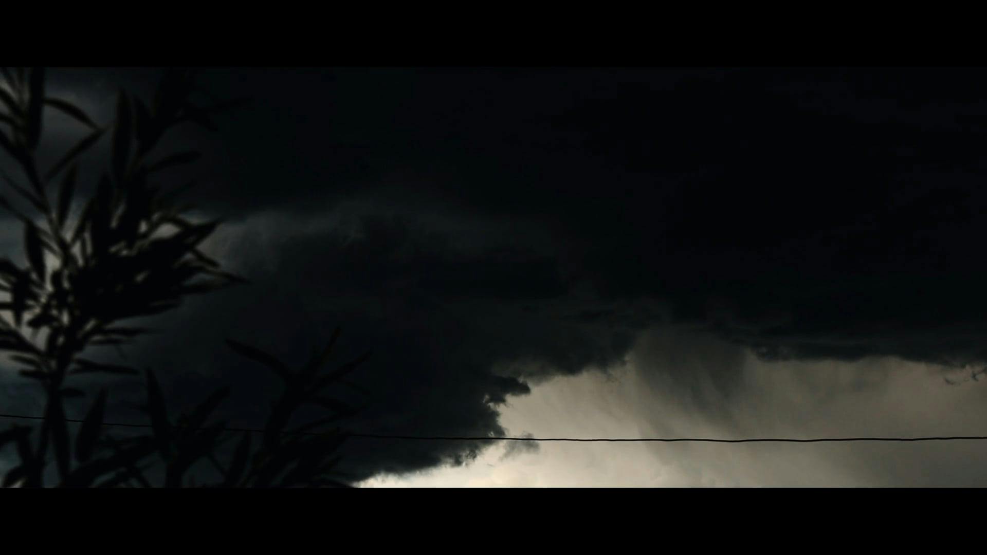 Tom Castor - fotografia