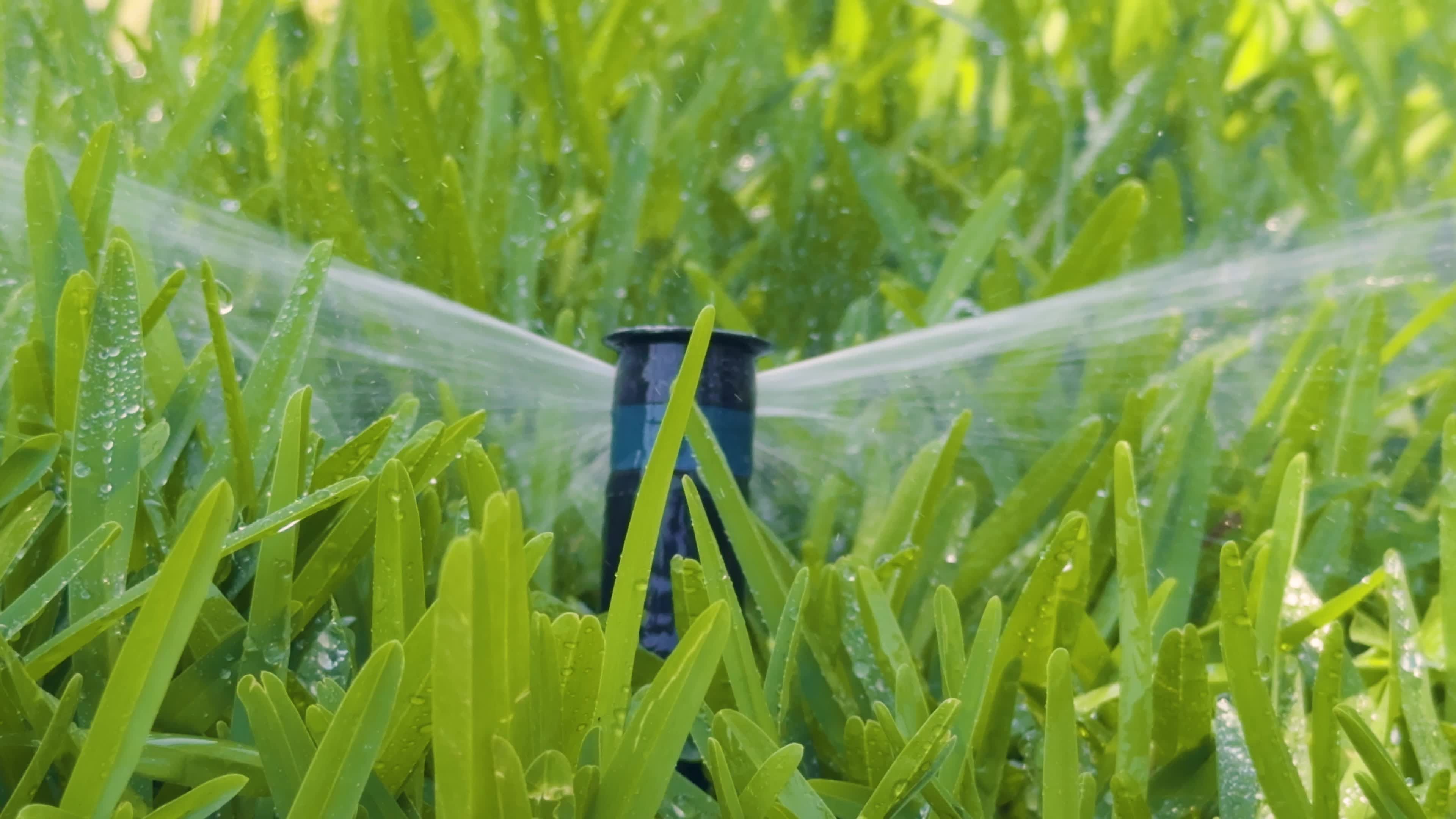 Close up of Sprinkler Sprinkling Water Free Stock Video Footage ...