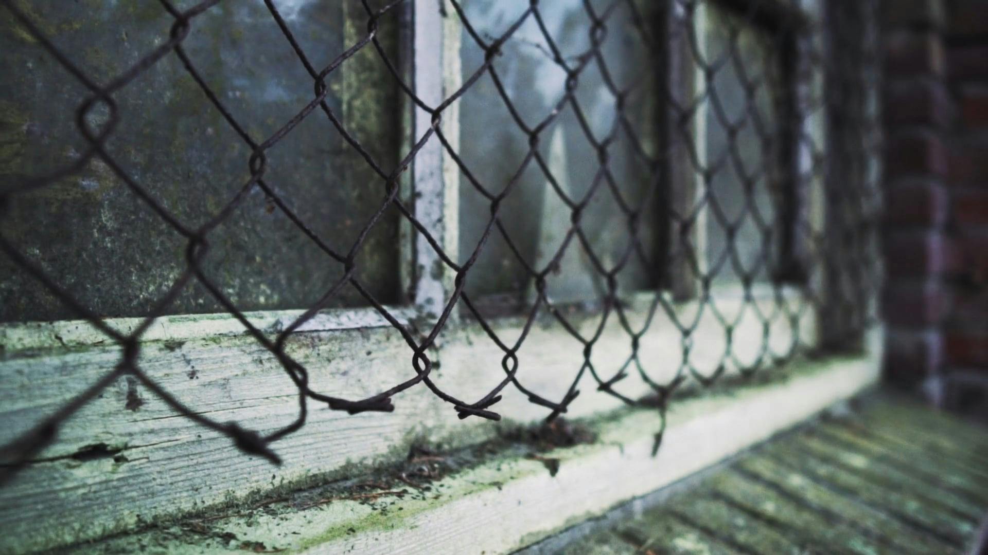 A Broken Mesh Wire On A Window · Free Stock Video