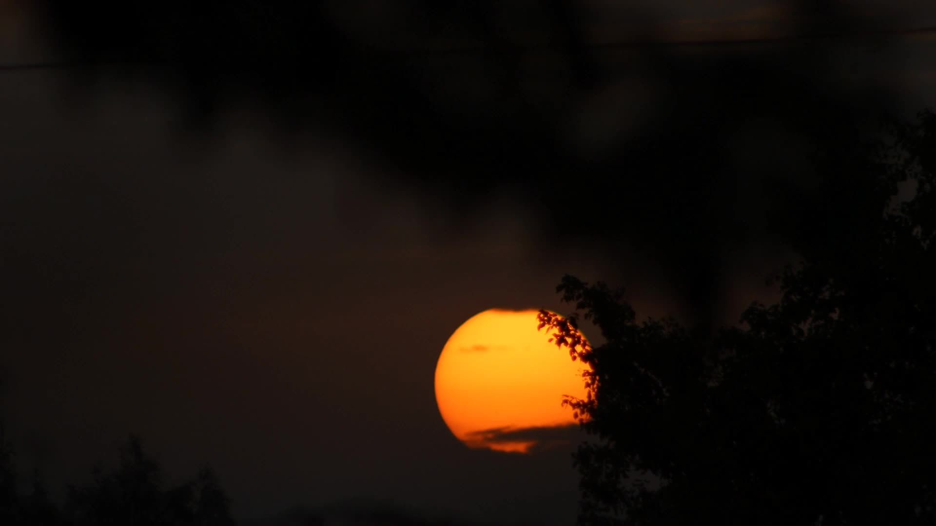 The sun is setting behind some trees Free Stock Video Footage, Royalty ...