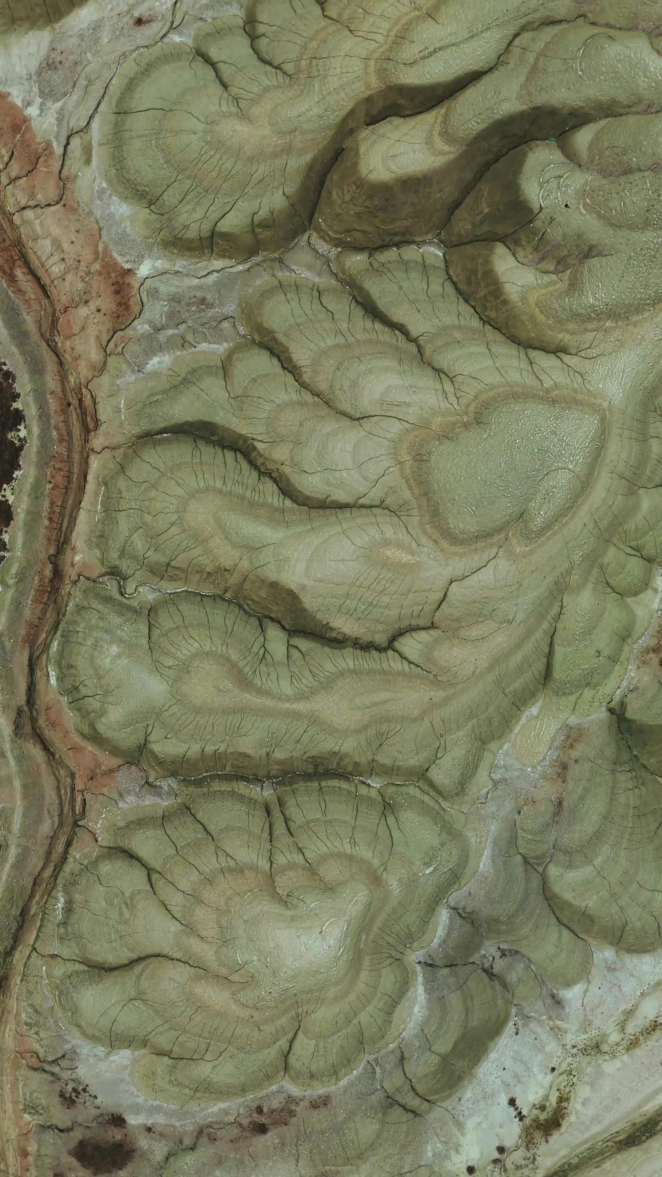 Topographic Texture Videos, Download The BEST Free 4k Stock Video ...