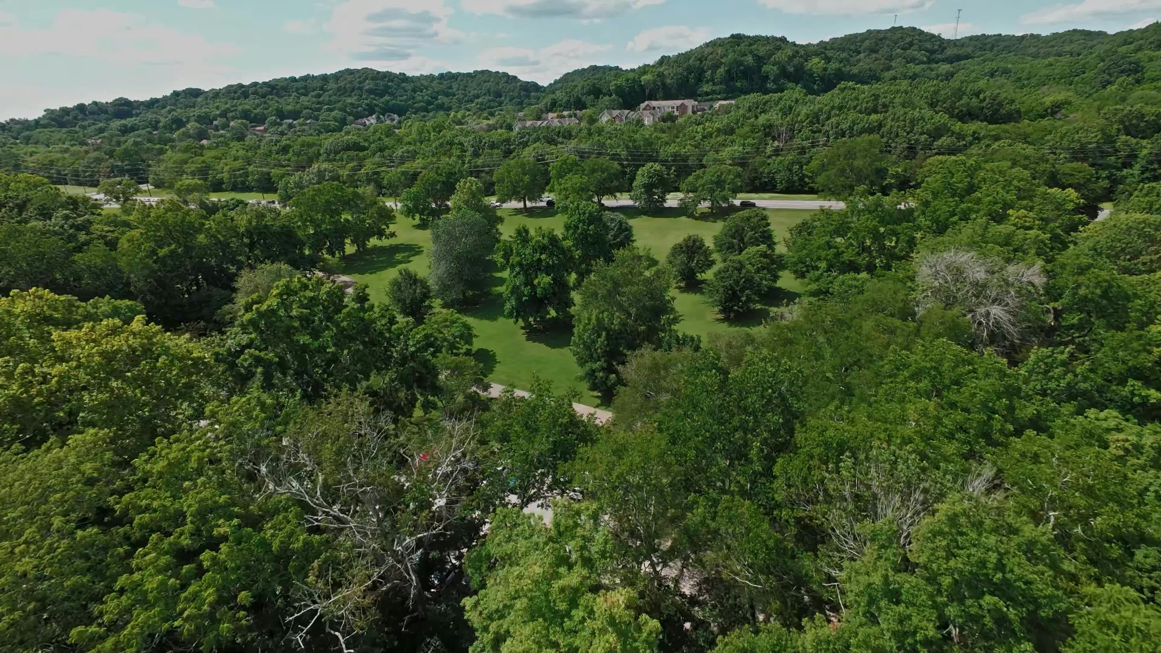 Alexander Wark Feeney - Fotografía