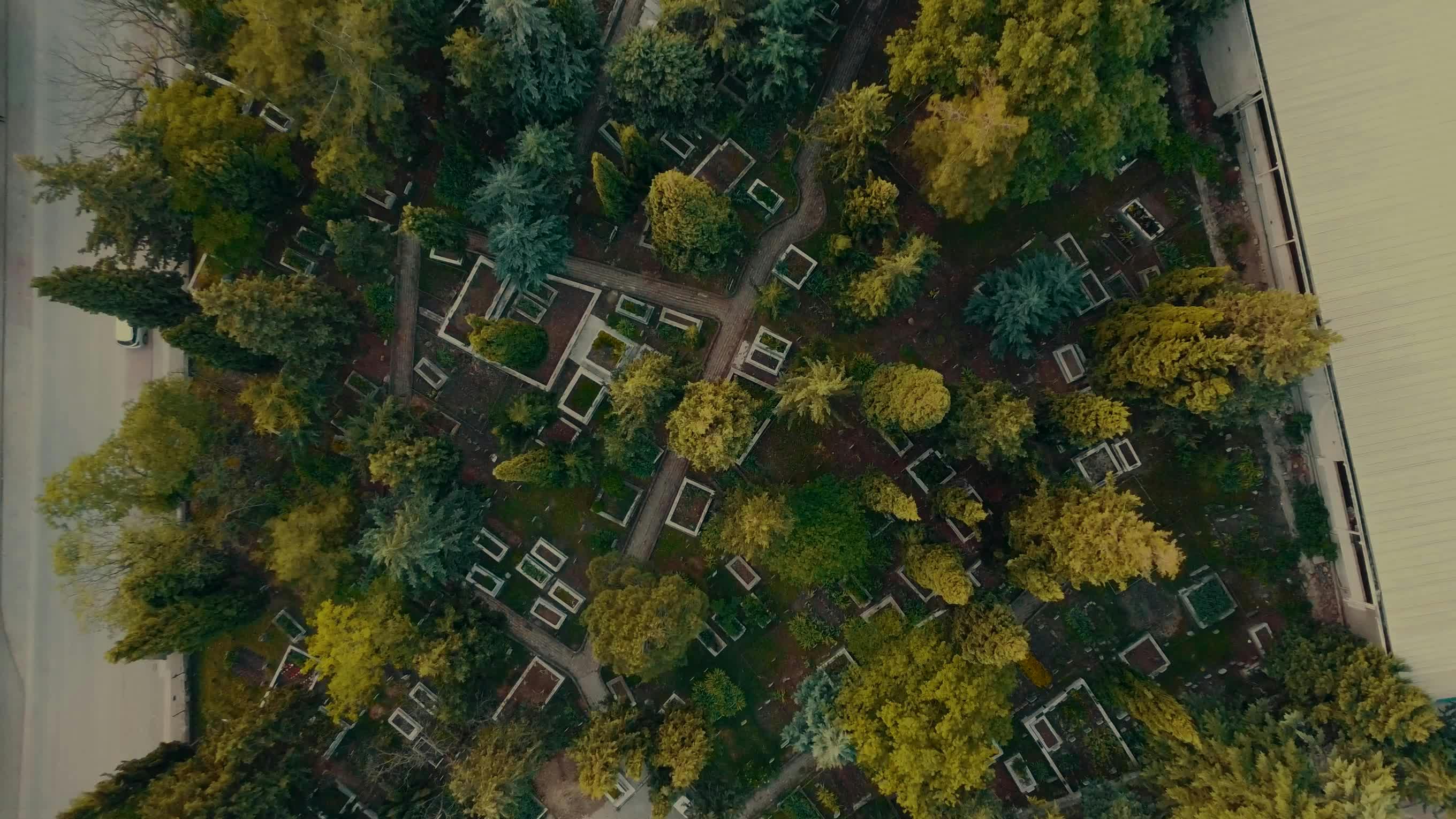 Born From Death Videos, Download The BEST Free 4k Stock Video Footage ...