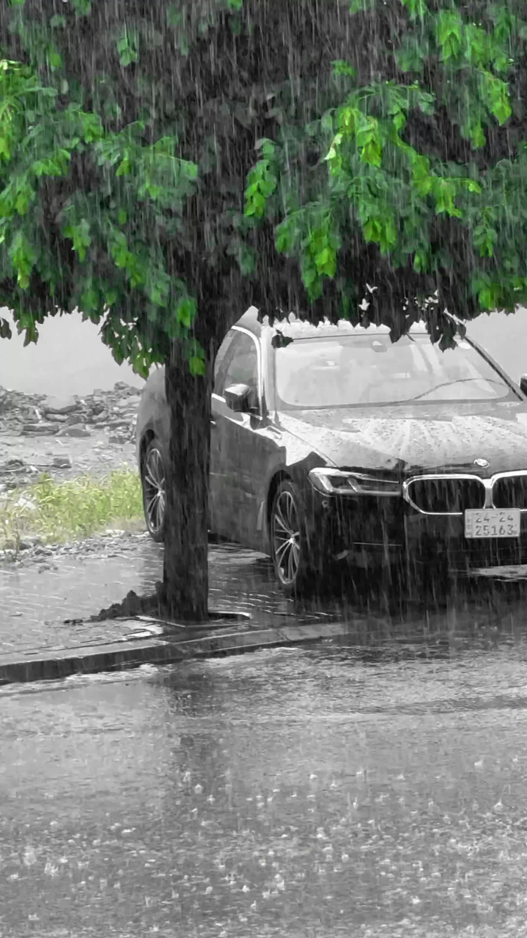 Fixed Car Videos, Download The BEST Free 4k Stock Video Footage & Fixed ...