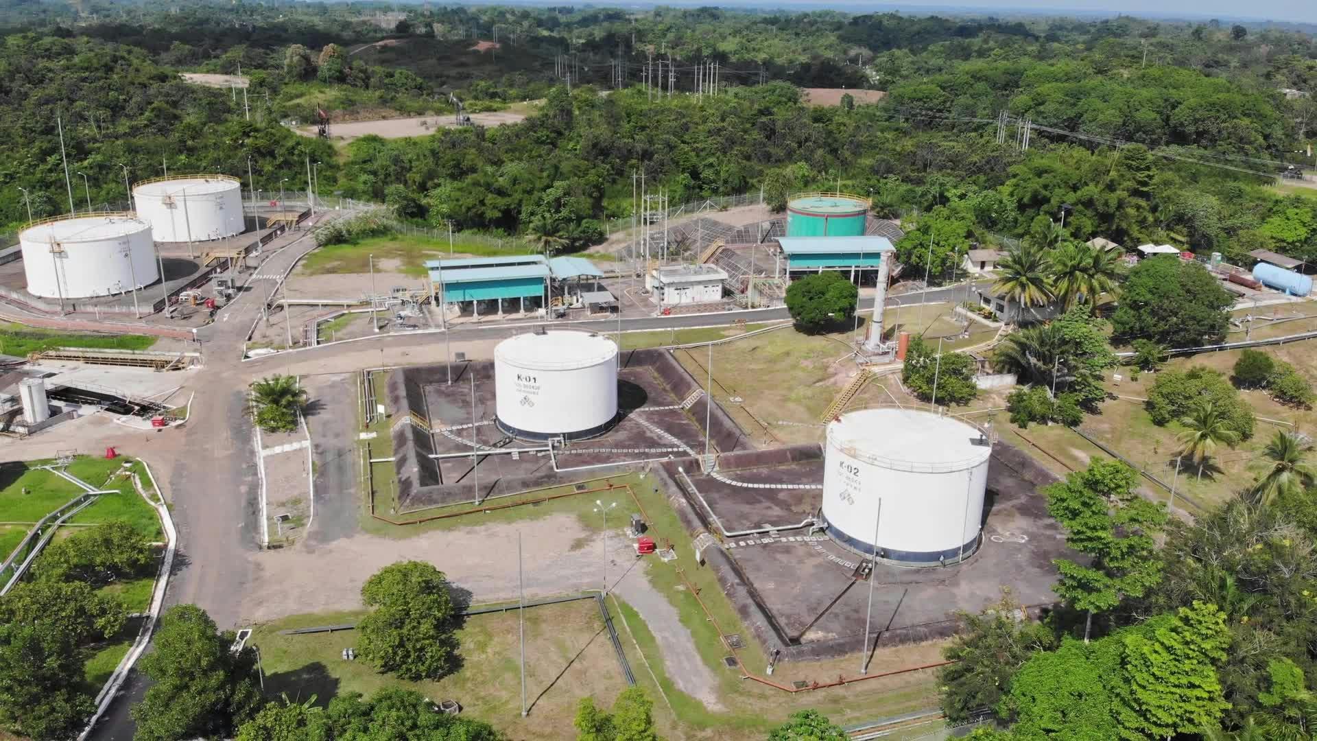 Tee Tree Oil Videos, Download The BEST Free 4k Stock Video Footage ...