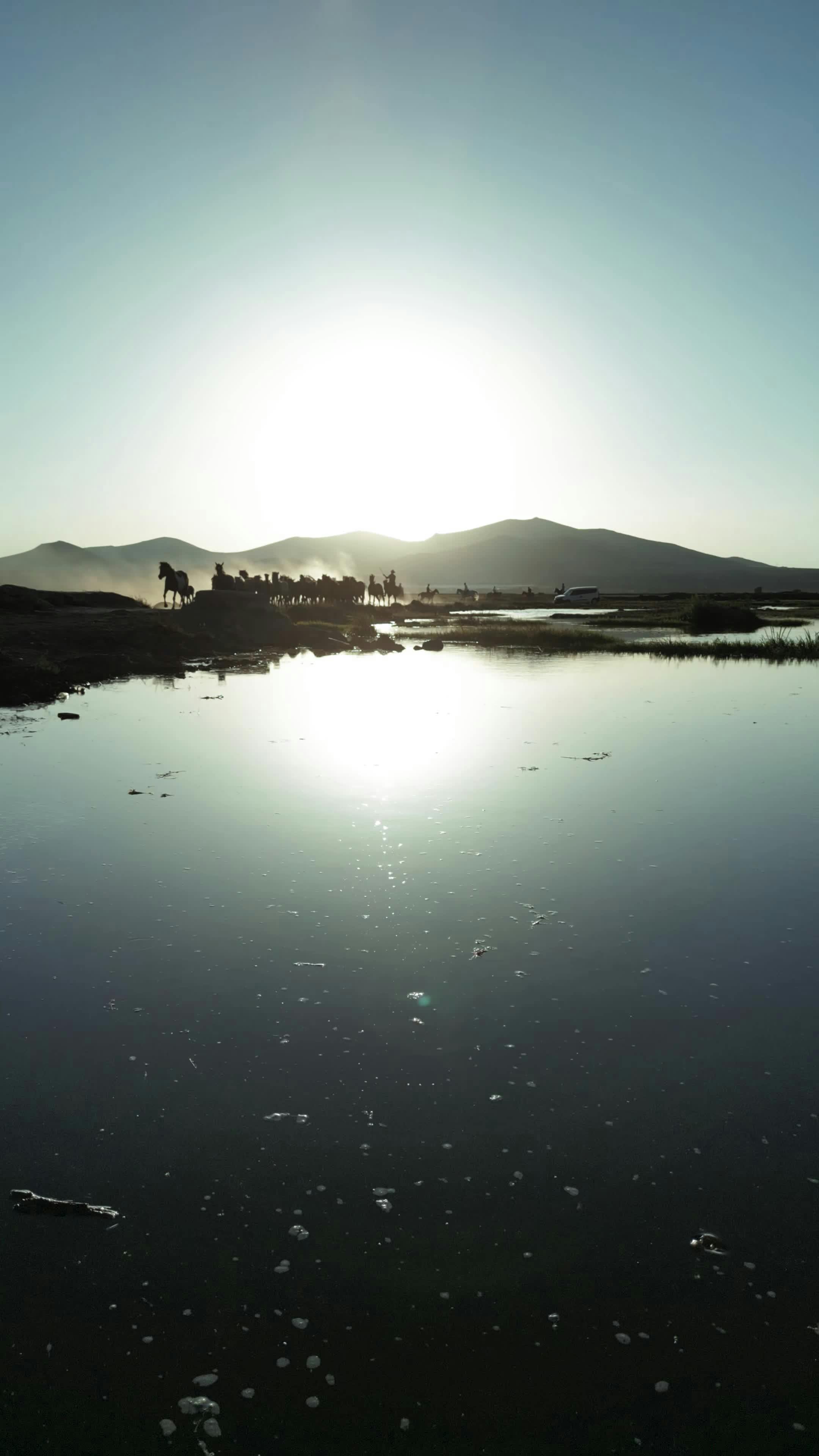 Moon Horse Videos, Download The BEST Free 4k Stock Video Footage & Moon ...