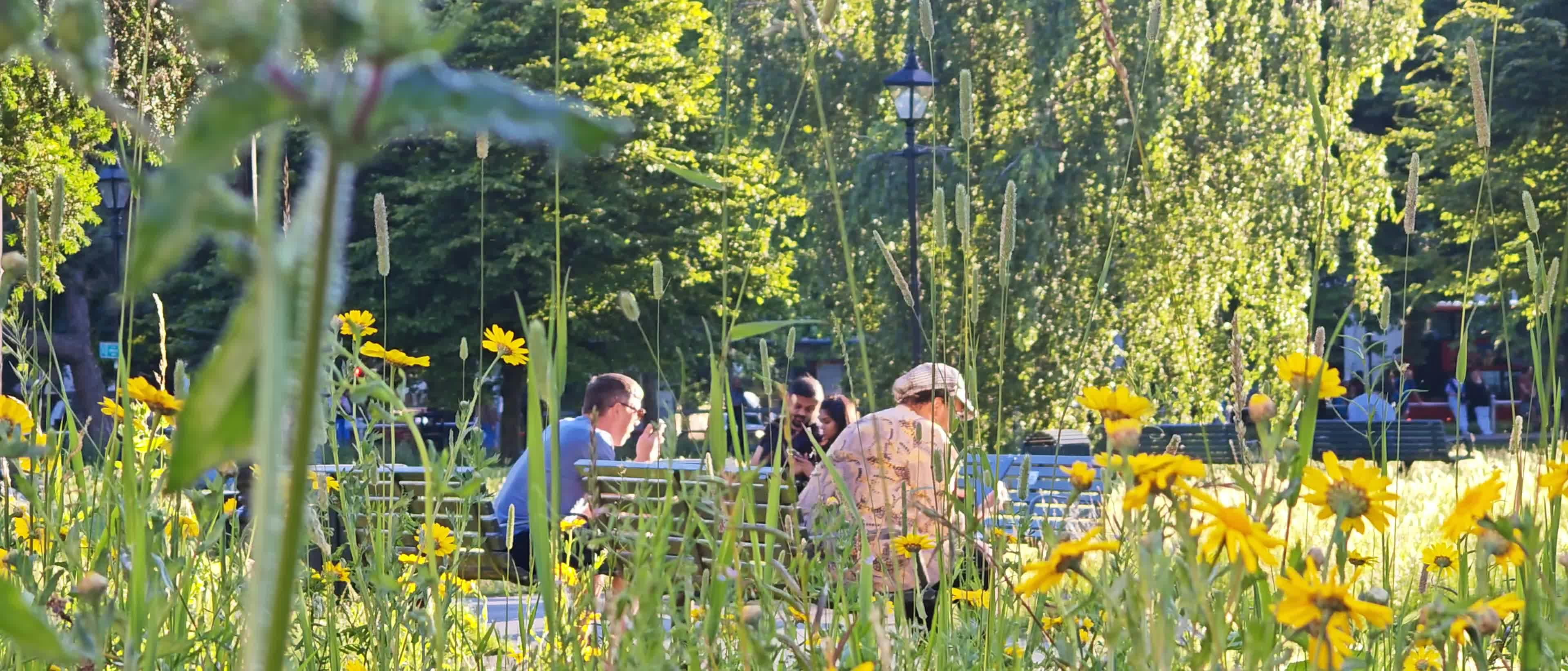 People Relaxing in the park, Ealing, London, United Kingdom Free Stock ...