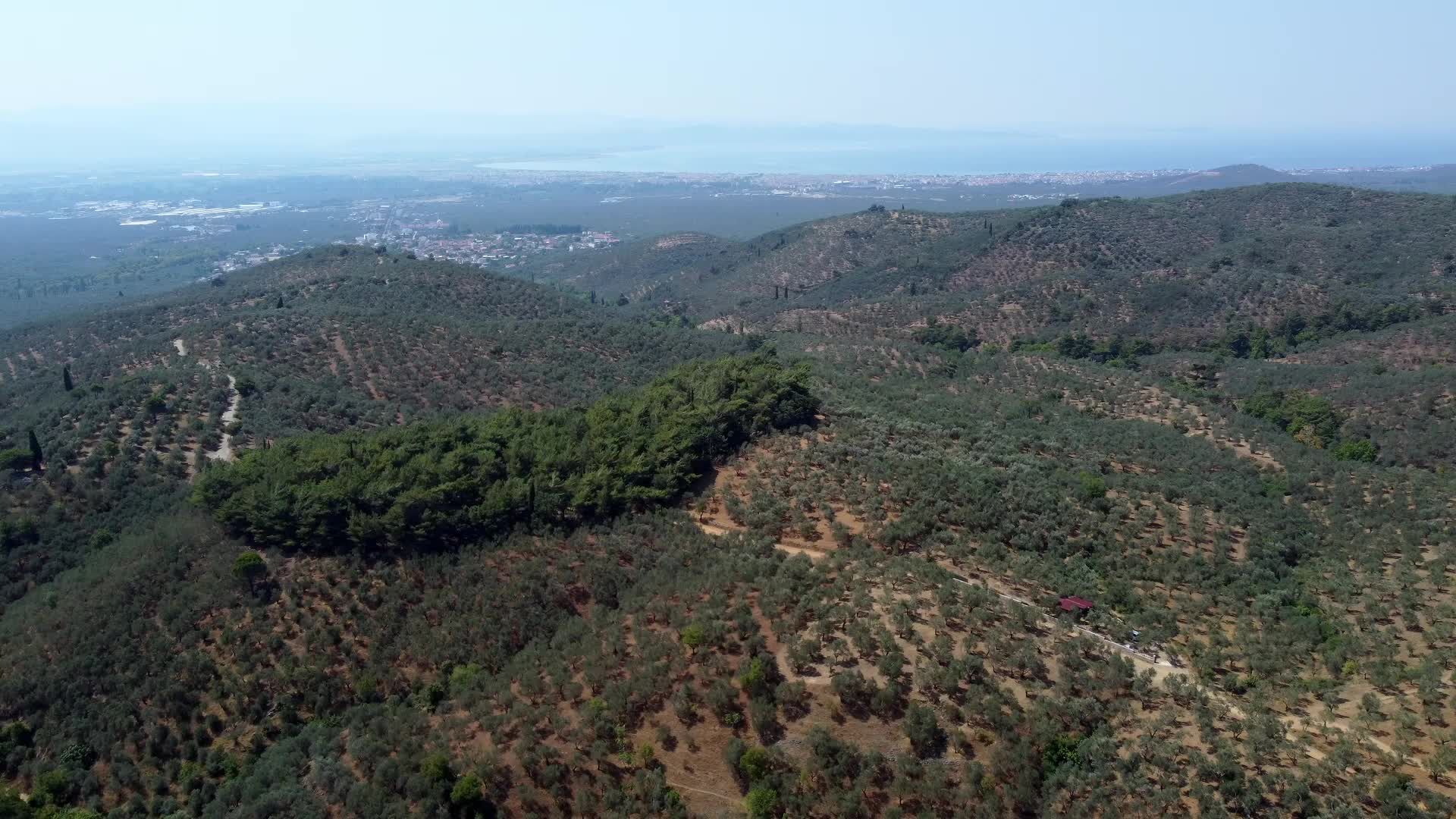 Olive Mount Videos, Download The BEST Free 4k Stock Video Footage ...