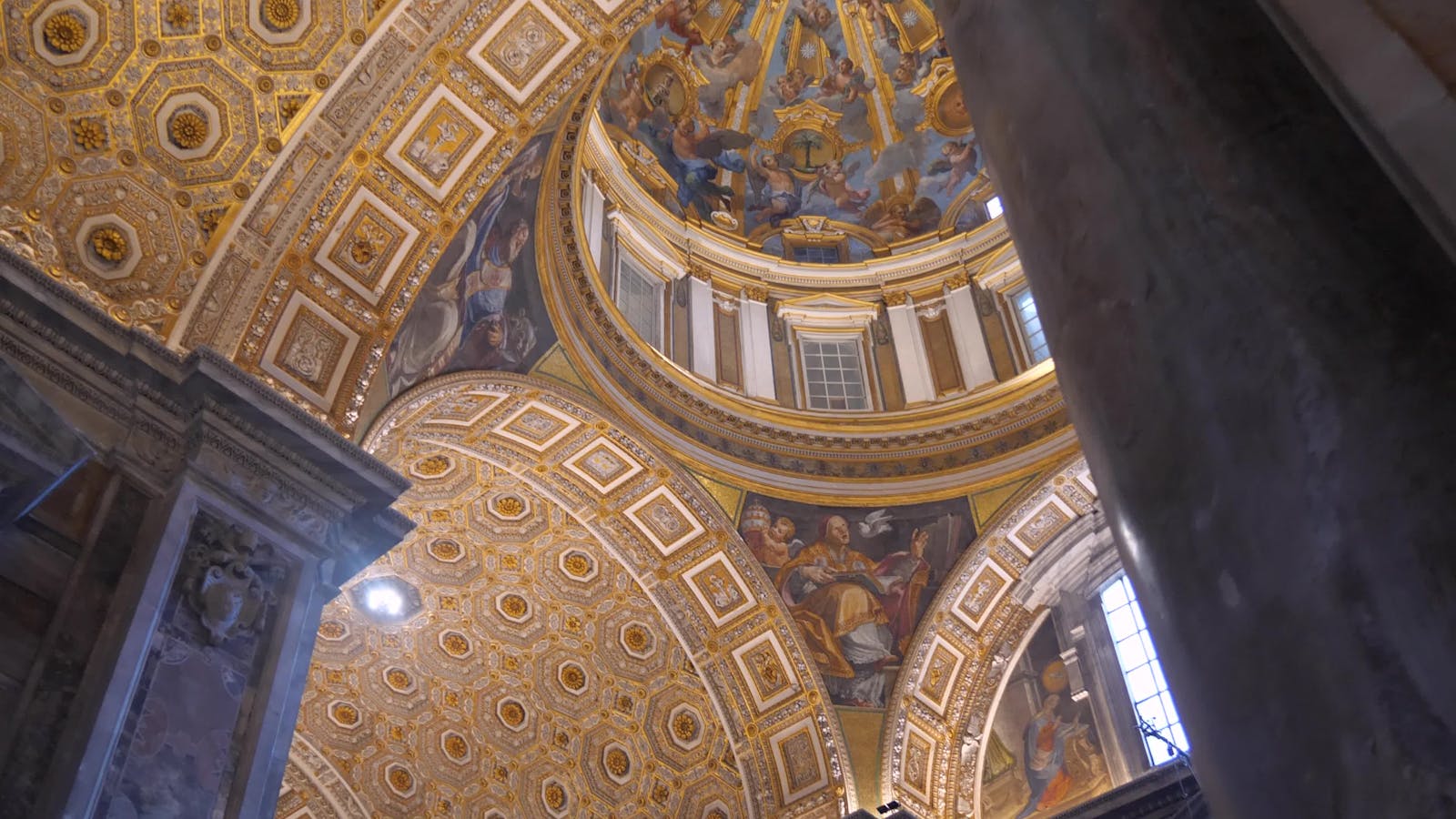 Boar+Corps.+Project+Art+Of+Zoo Videos, Download The BEST Free 4k Stock ...