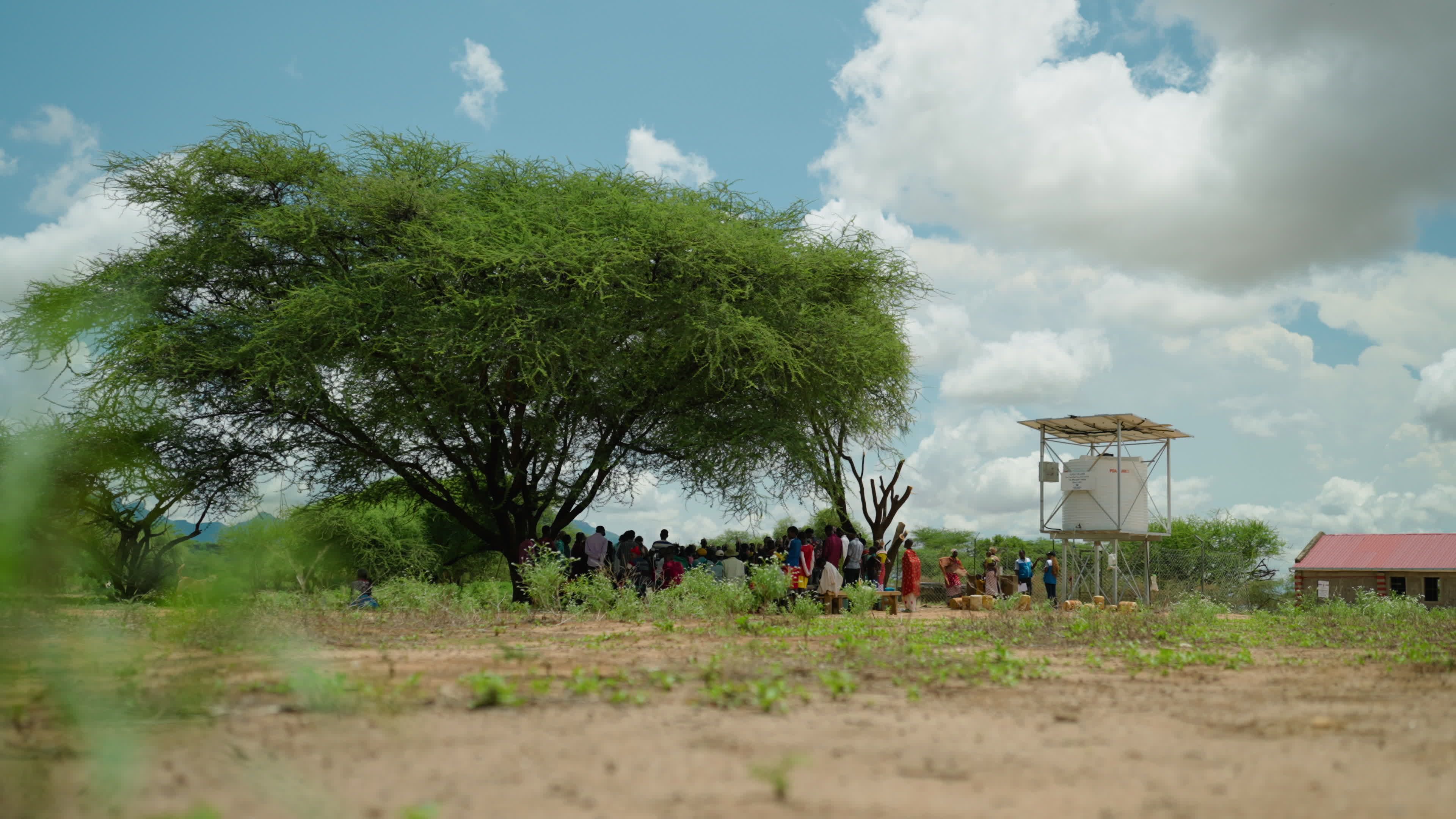 Vfs Global Kenya Videos, Download The BEST Free 4k Stock Video Footage ...