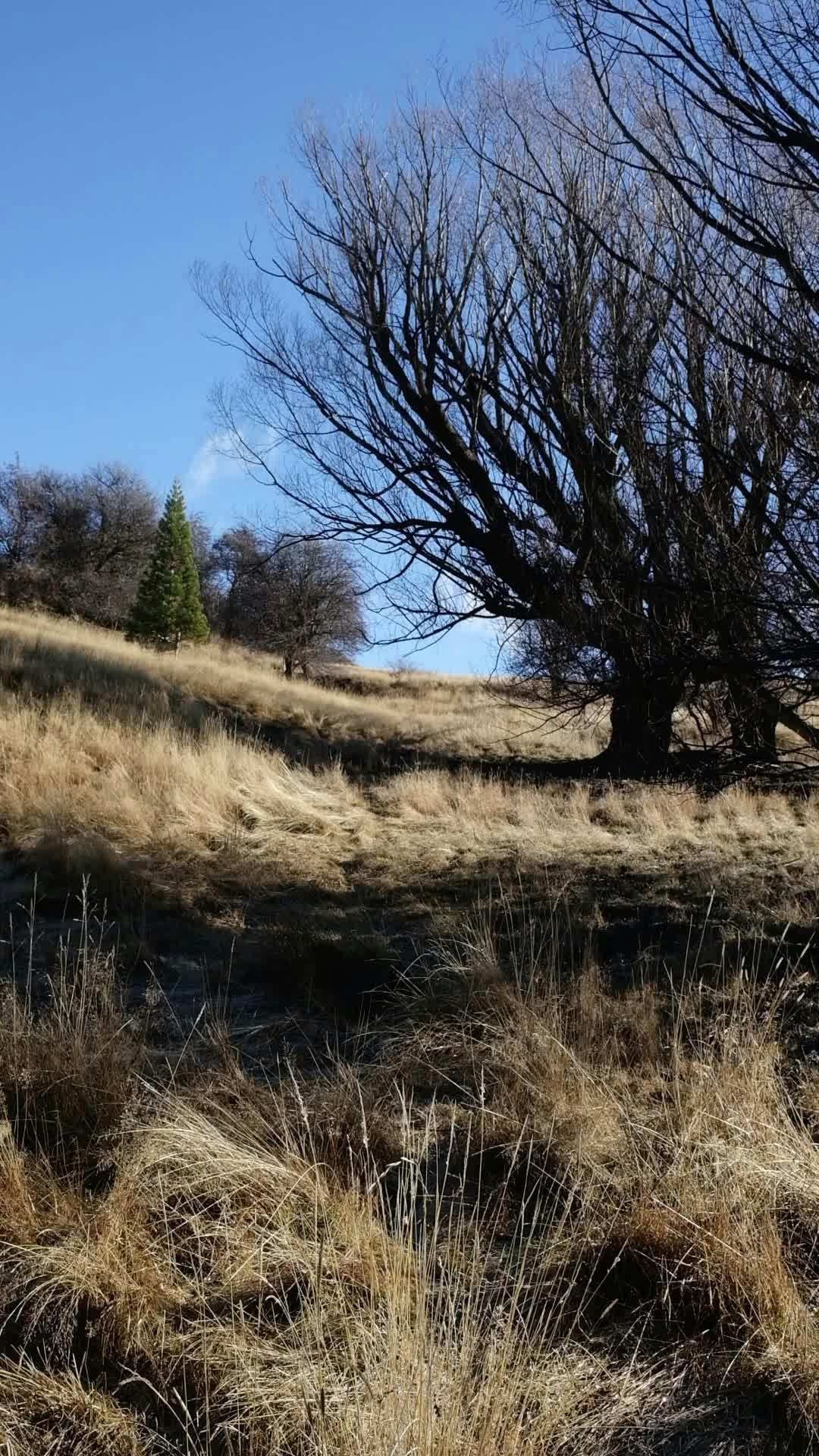 Kate Branch - 摄影