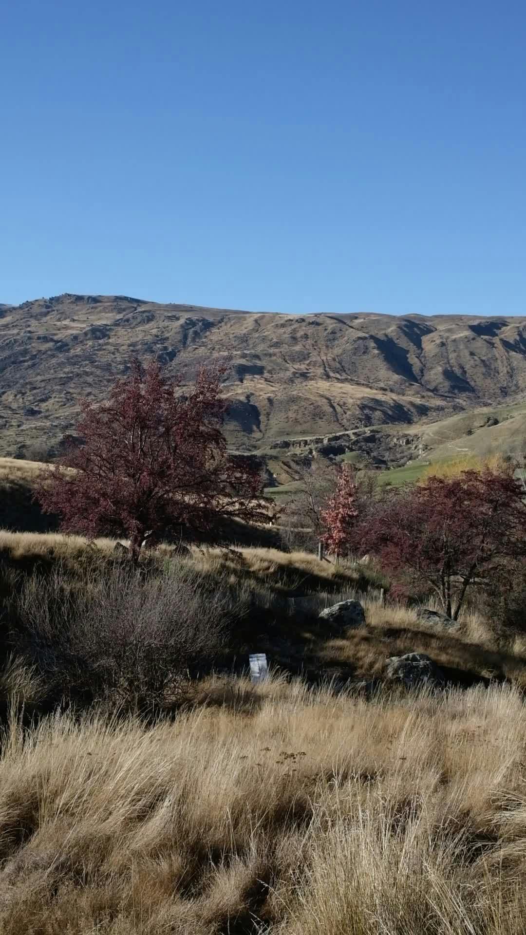 Kate Branch - 摄影