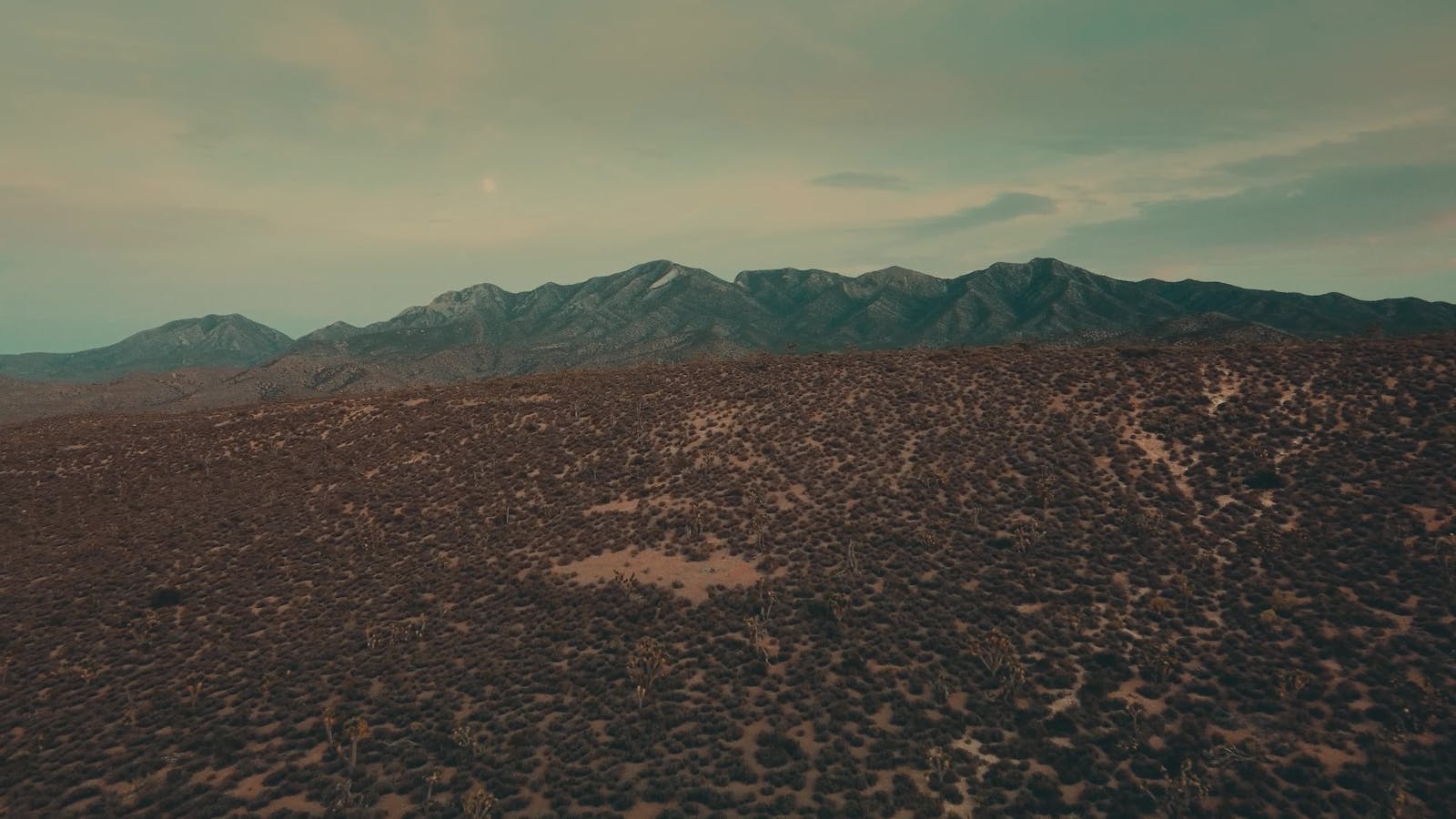 Cine+Foro Videos, Download The BEST Free 4k Stock Video Footage & Cine ...