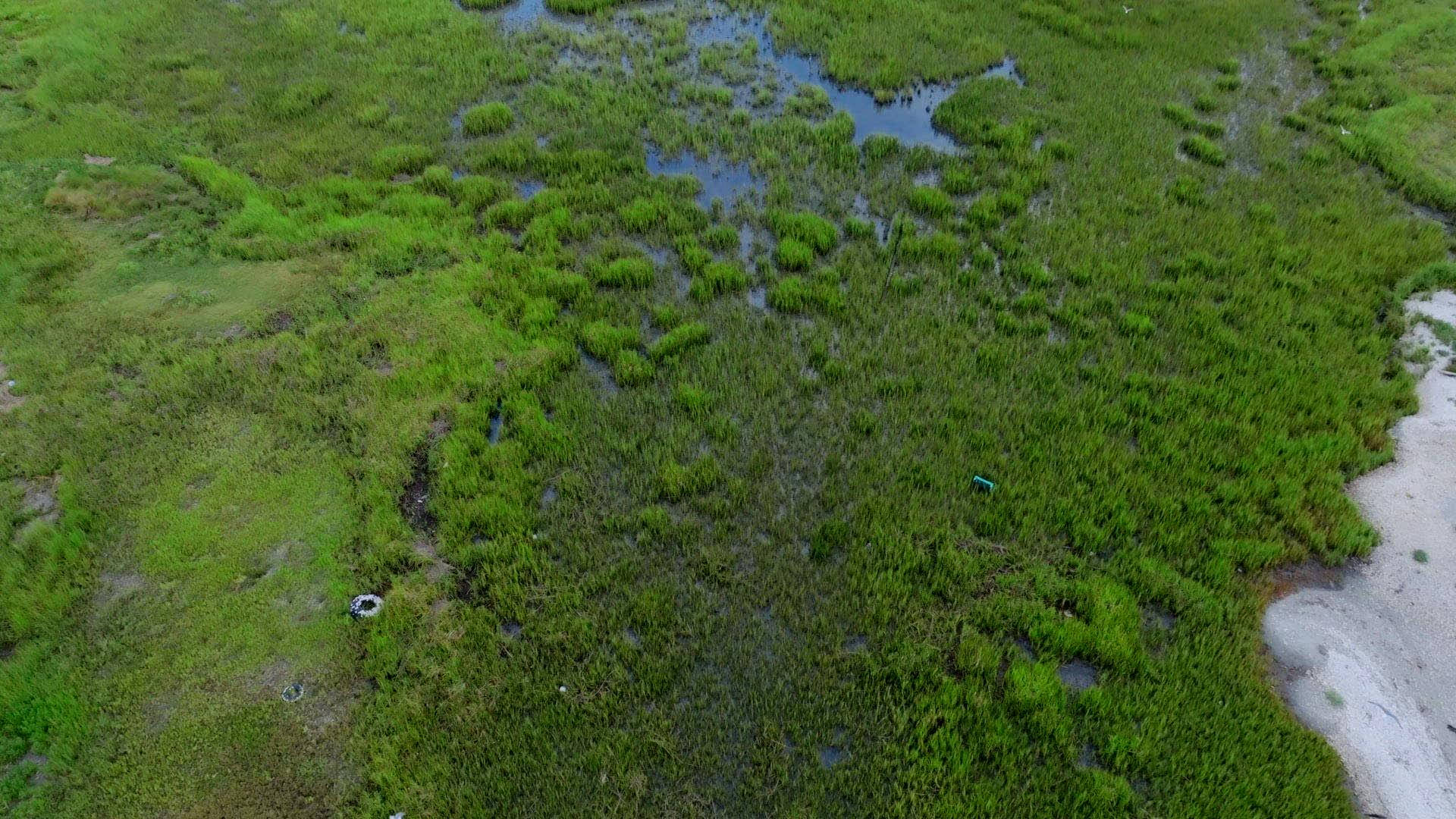 An aerial view of a marshy area with water Free Stock Video Footage ...