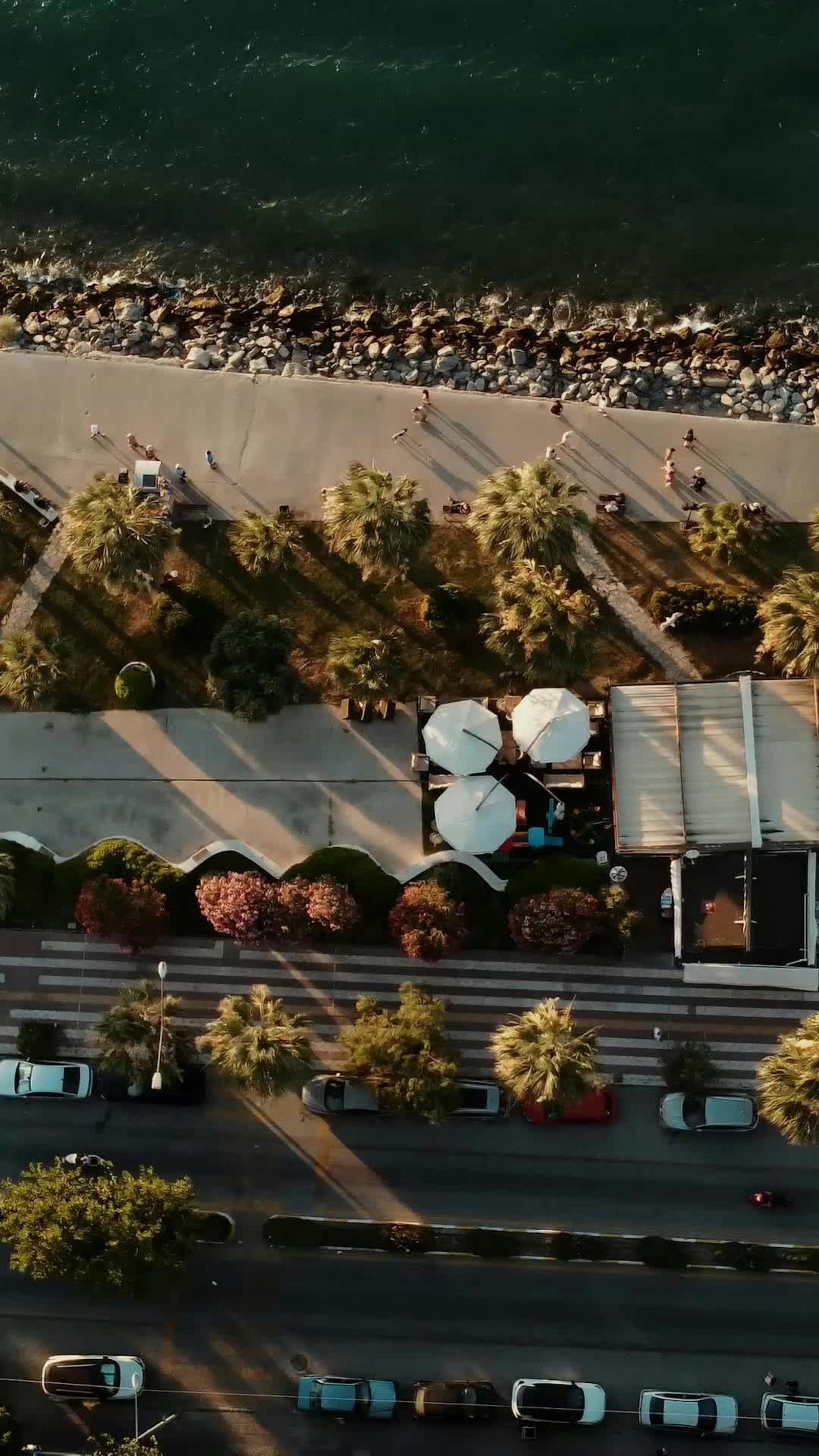 Reel Background Videos, Download The BEST Free 4k Stock Video Footage ...