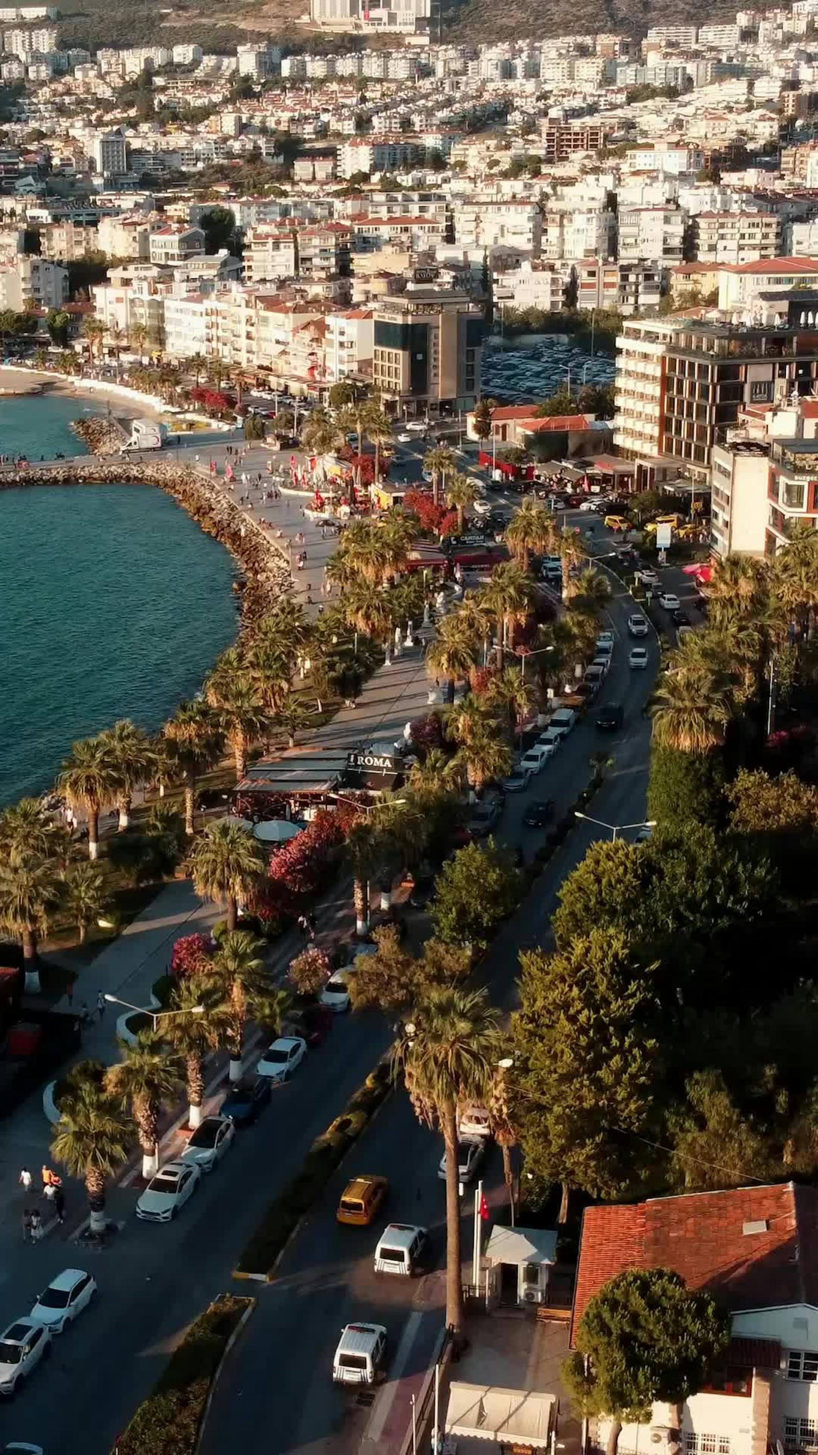 Reel Background Videos, Download The BEST Free 4k Stock Video Footage ...