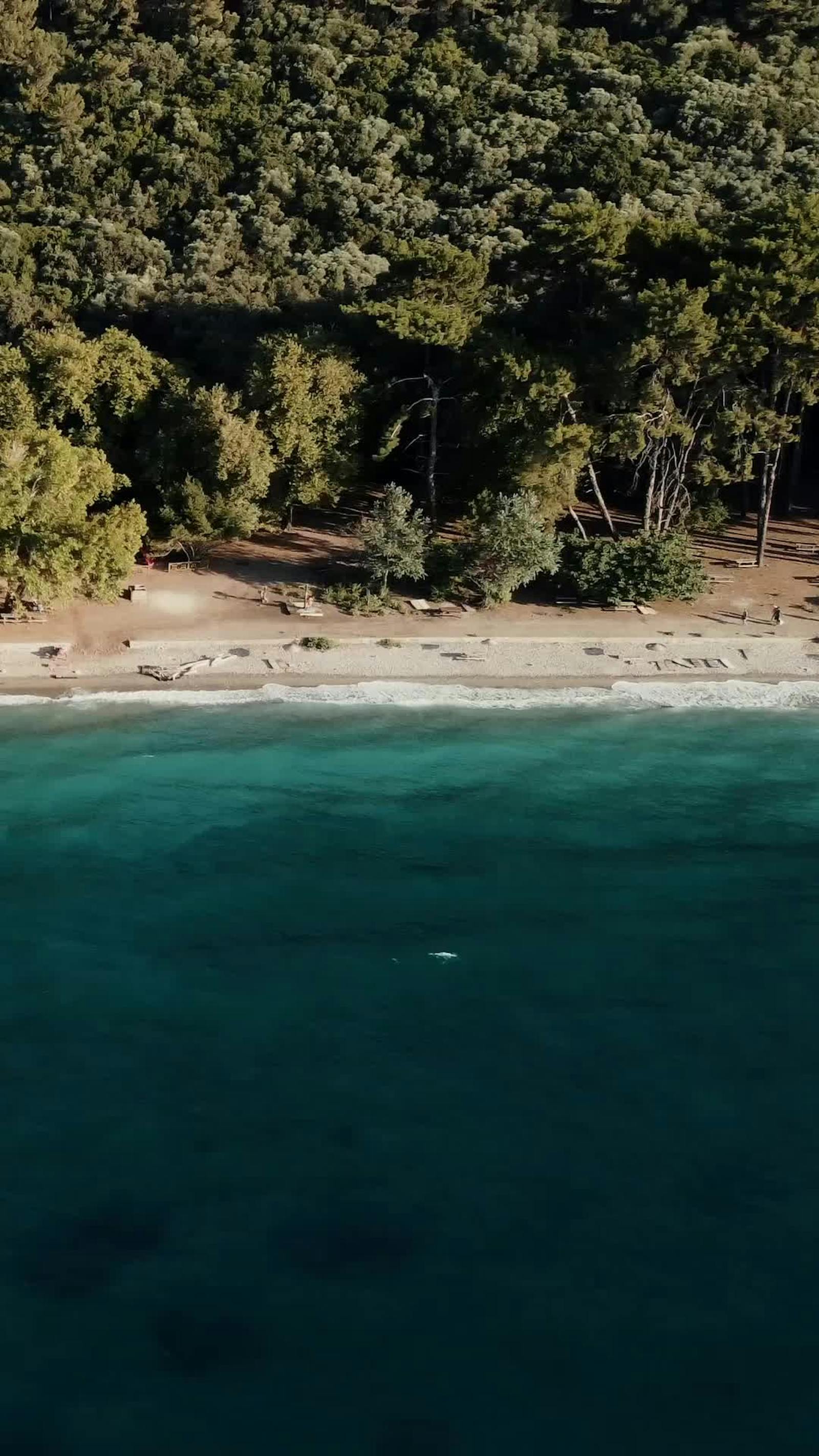 Instagram Reel Background Videos, Download The BEST Free 4k Stock Video ...