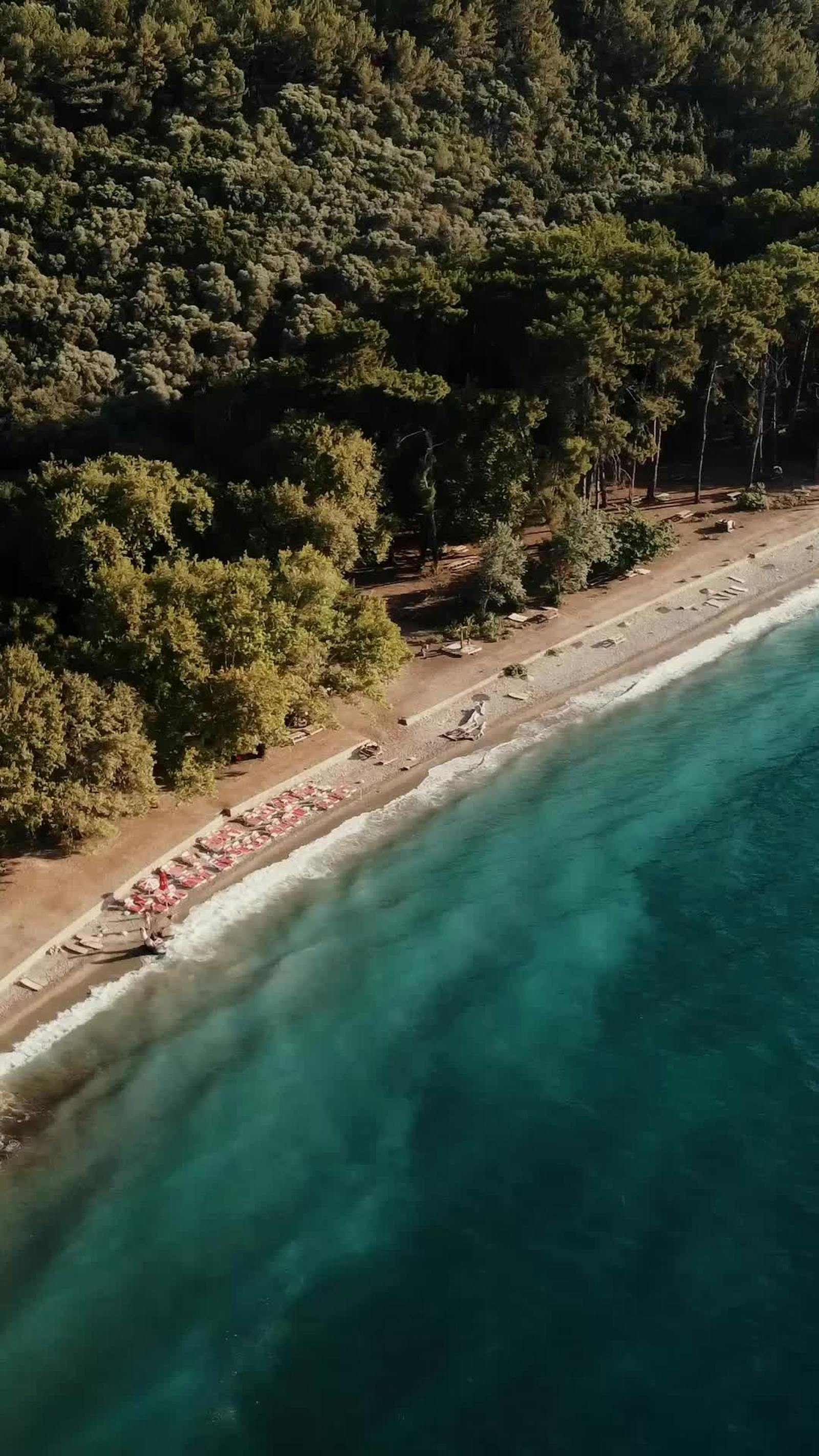 Reel Background Videos, Download The BEST Free 4k Stock Video Footage ...