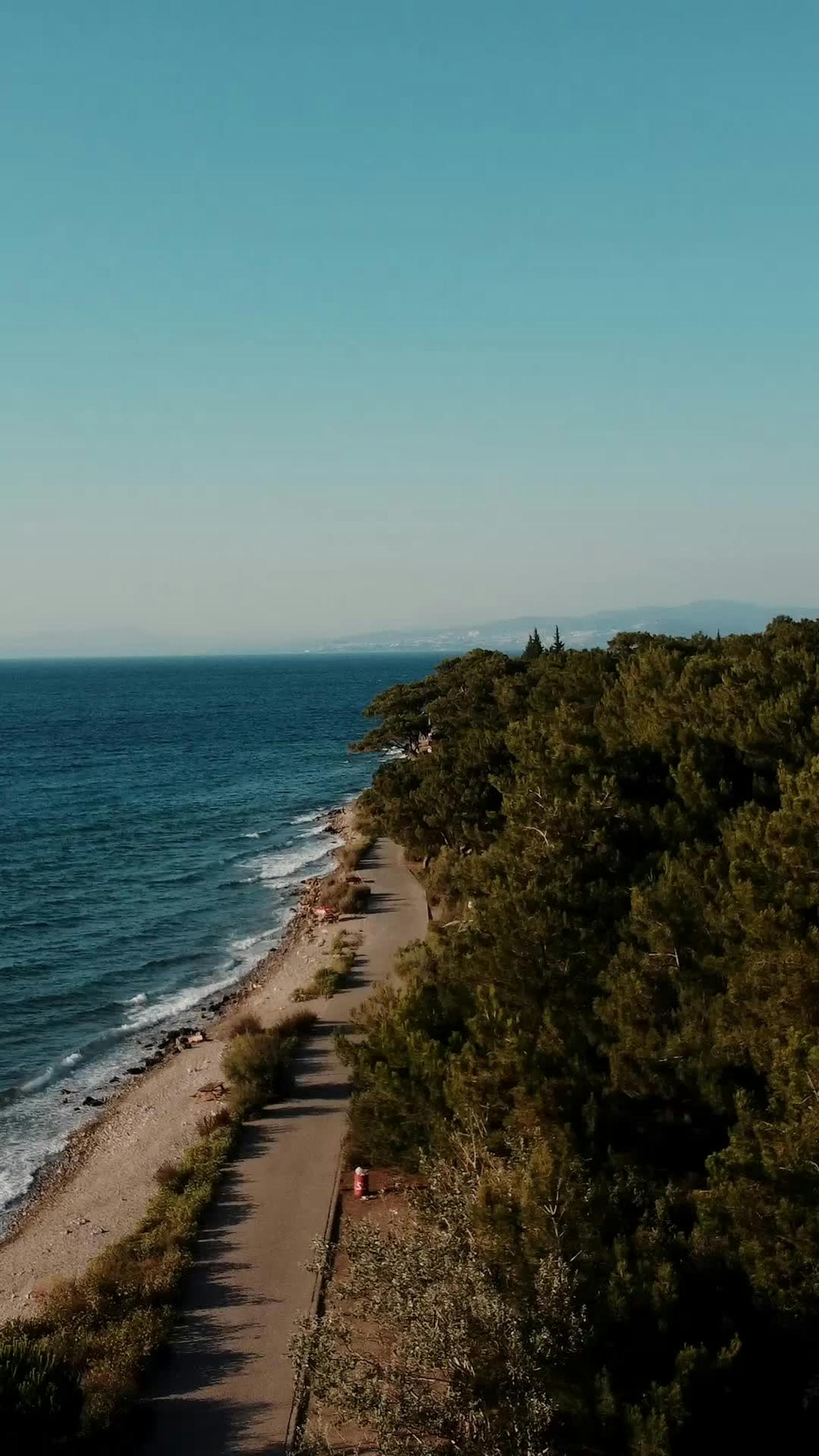 Reel Background Videos, Download The BEST Free 4k Stock Video Footage ...