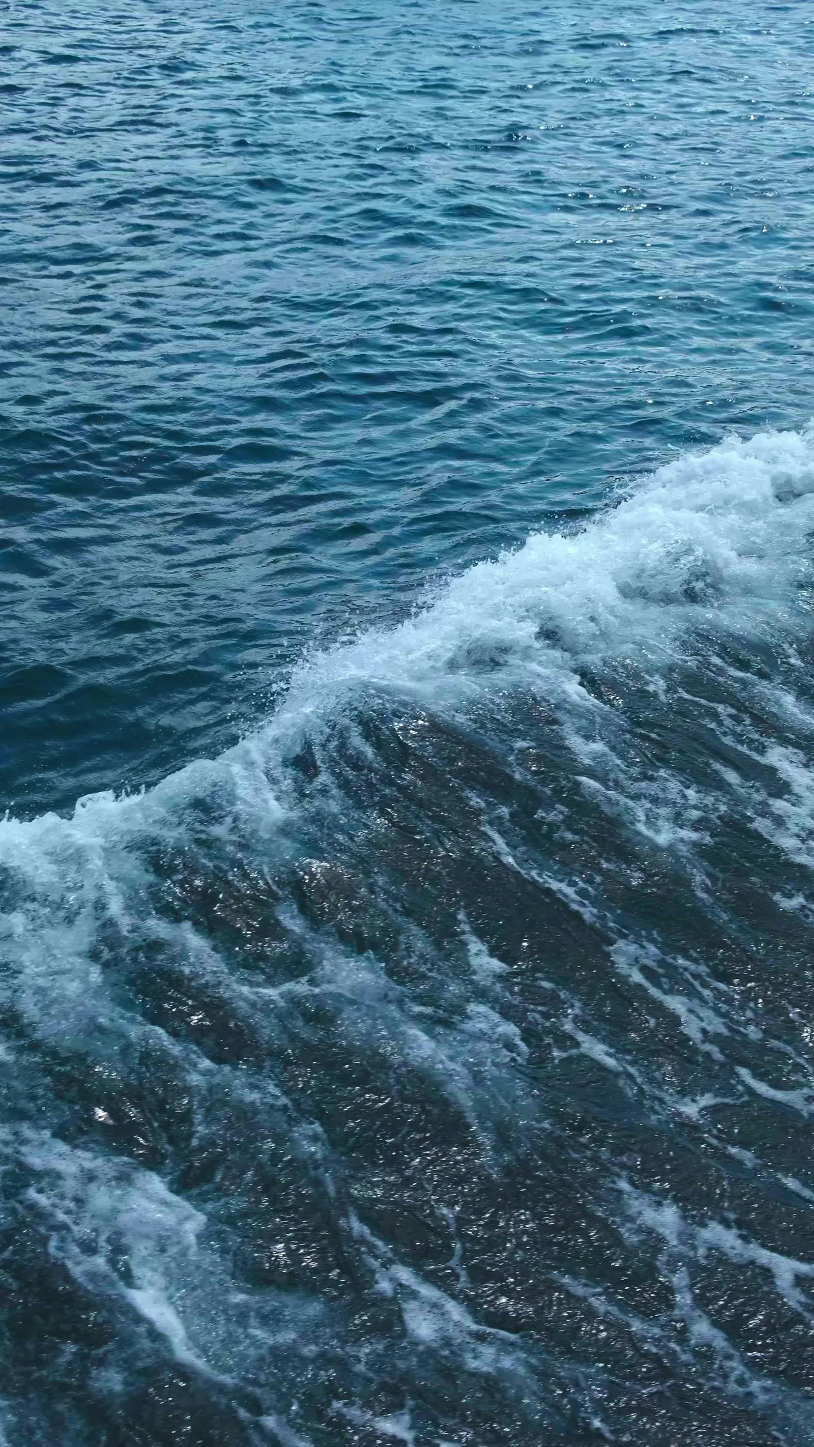 Big Wave Videos, Download The BEST Free 4k Stock Video Footage & Big ...