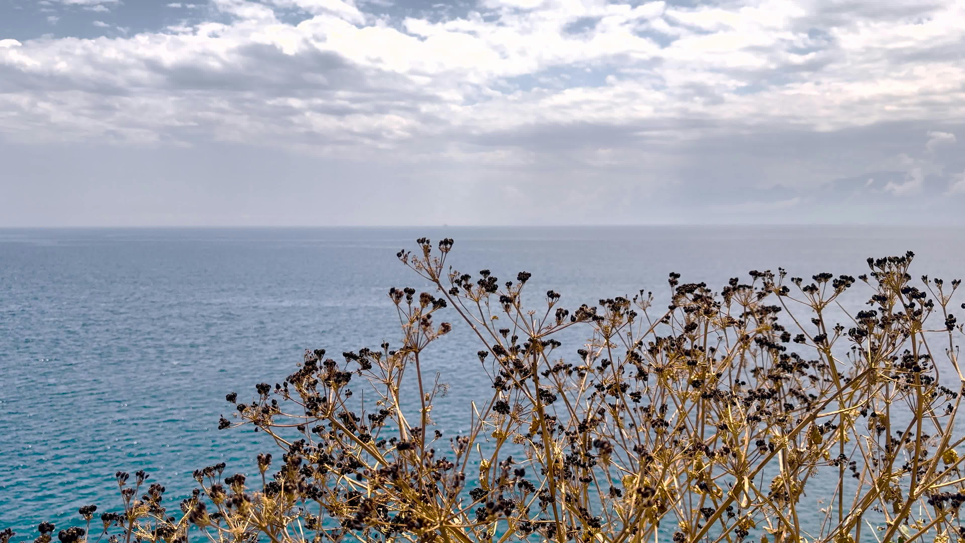 Botany Bay Kent Videos, Download The BEST Free 4k Stock Video Footage ...