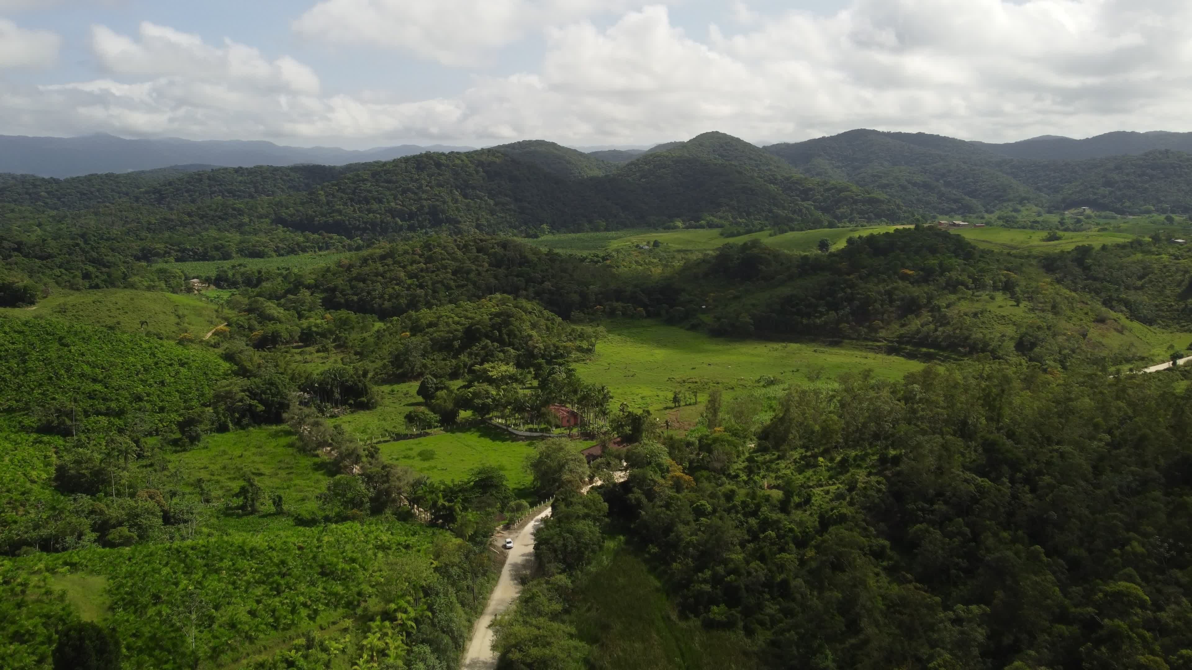 Vídeos de stock gratuitos sobre 4k metraje, agricultura, al aire libre ...