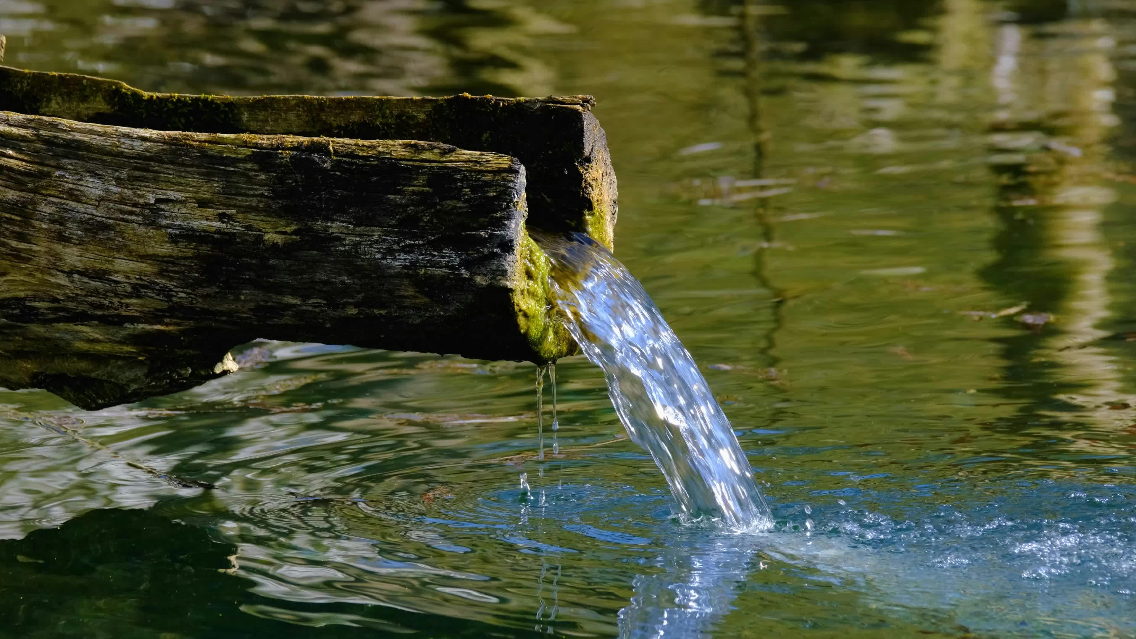 Flowing Water from Tree Trunk Free Stock Video Footage, Royalty-Free 4K ...