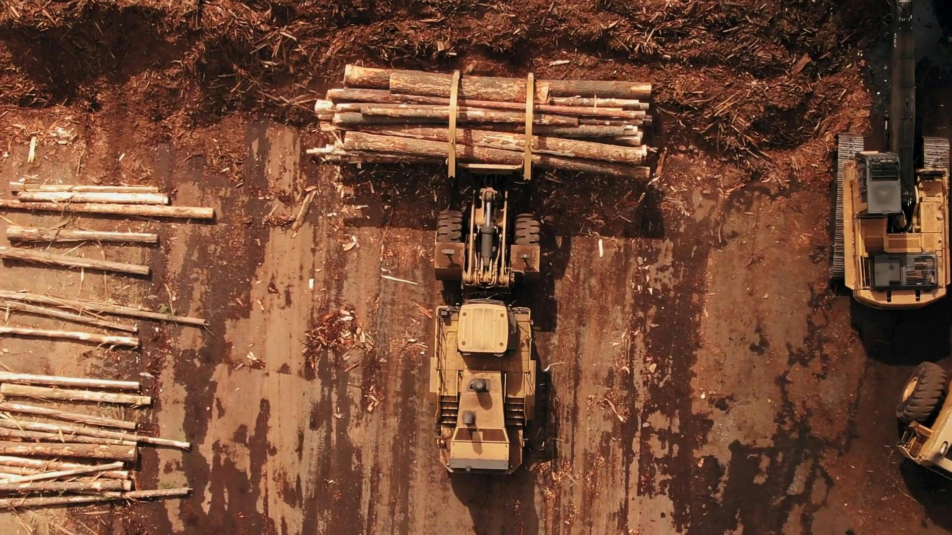 Log Transport Videos, Download The BEST Free 4k Stock Video Footage ...