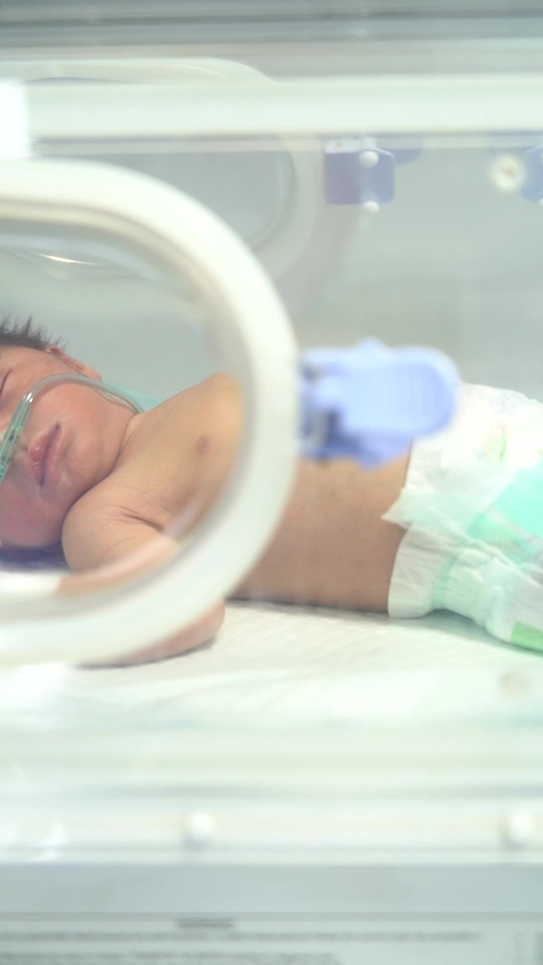 Close up of a Newborn Baby at a Hospital Nursery Free Stock Video ...