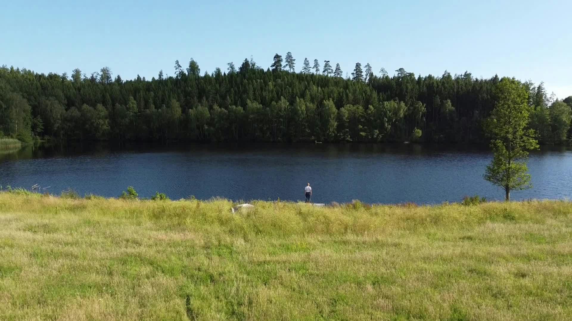 Ecosistemas Forestales Videos, Download The BEST Free 4k Stock Video ...