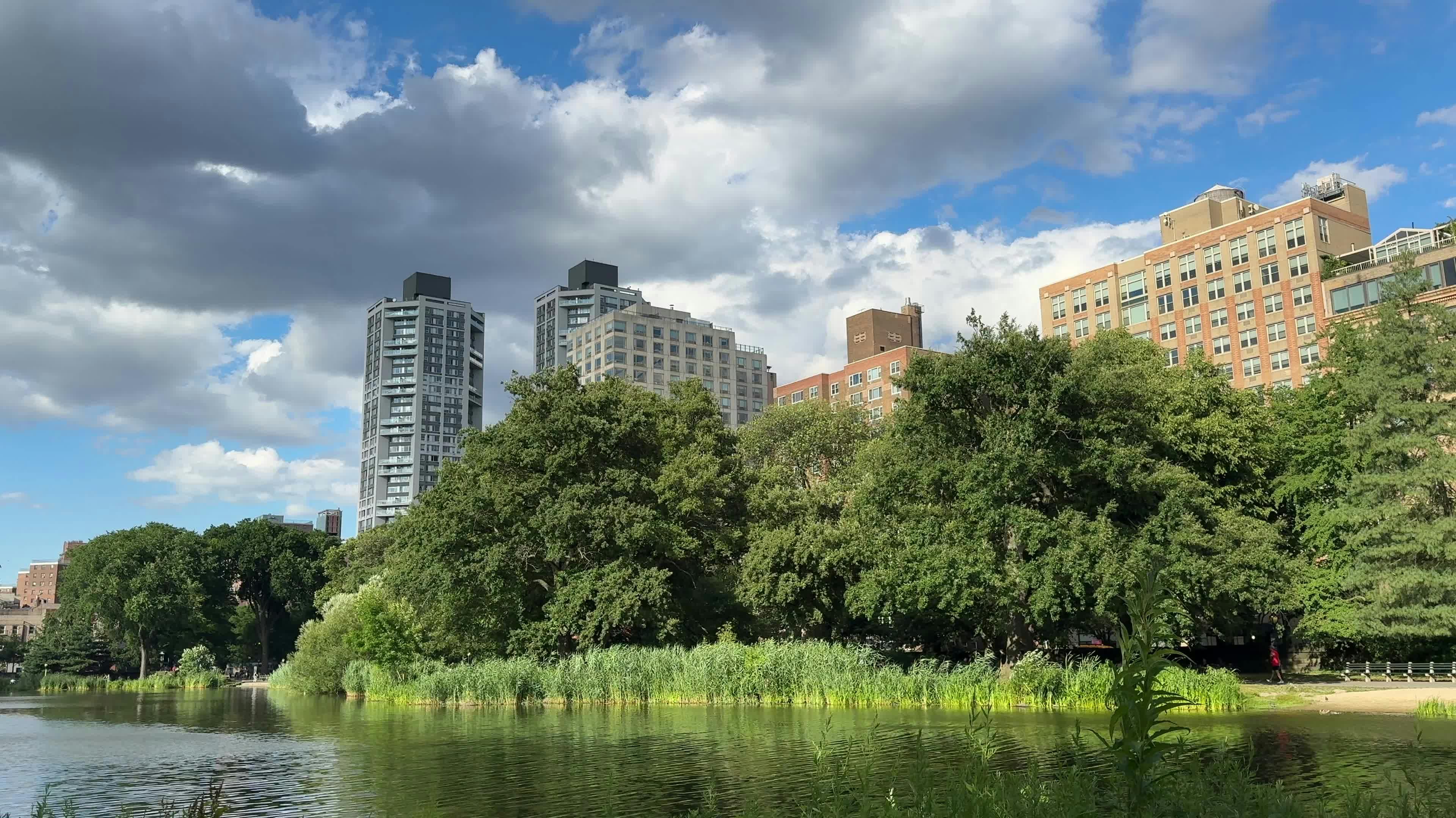 Urban trees, like these trees in New York, can help reduce temperatures ...