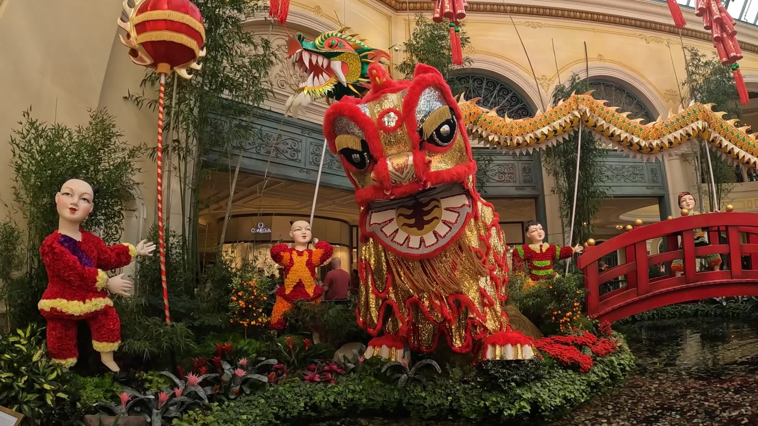 Colorful Chinese New Year Dragon Dance Free Stock Video Footage ...