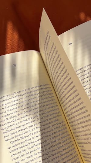 Unsplash Book Videos, Download The BEST Free 4k Stock Video Footage ...