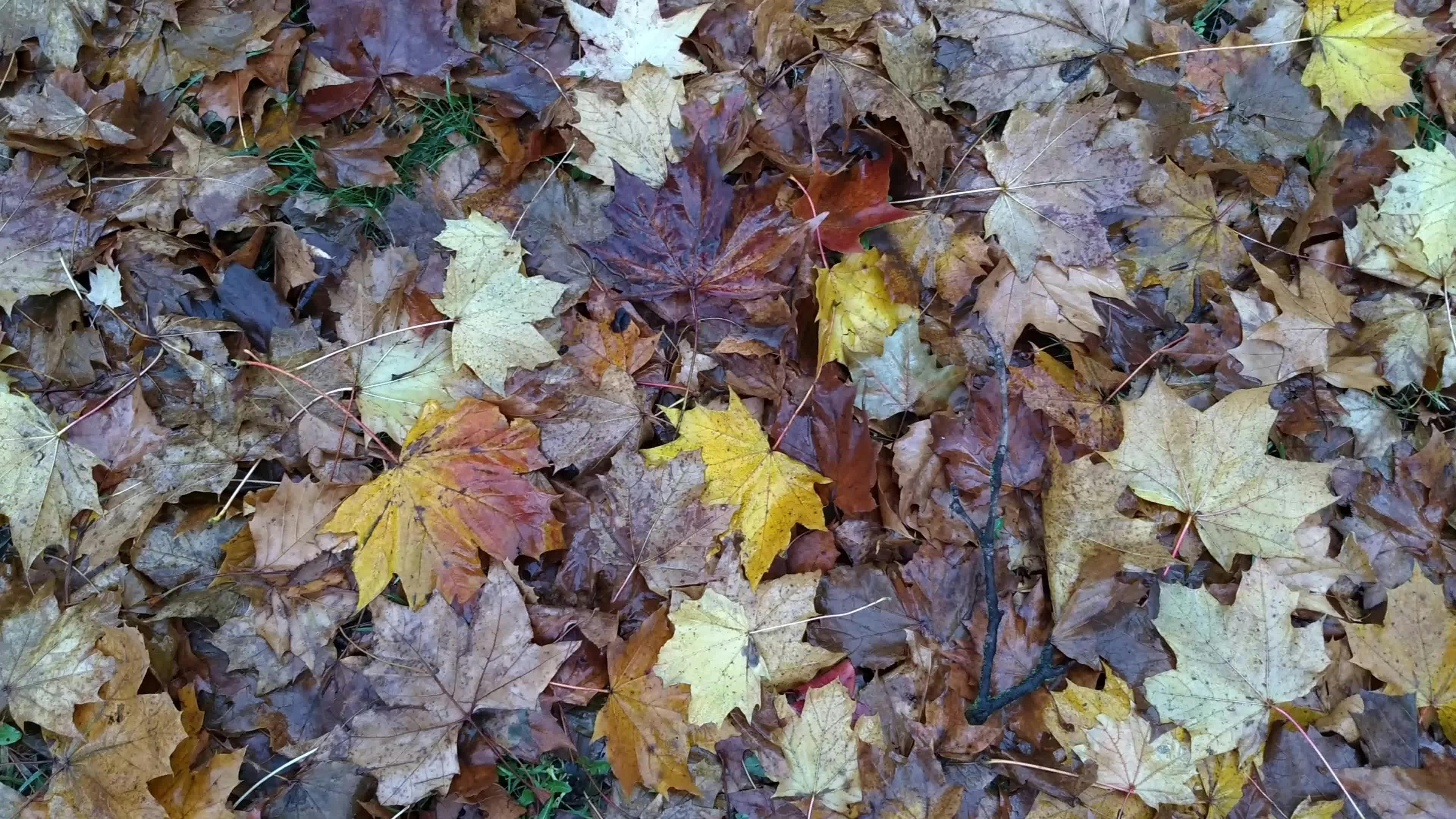 4k Multi Color Background Videos, Download The BEST Free 4k Stock Video ...