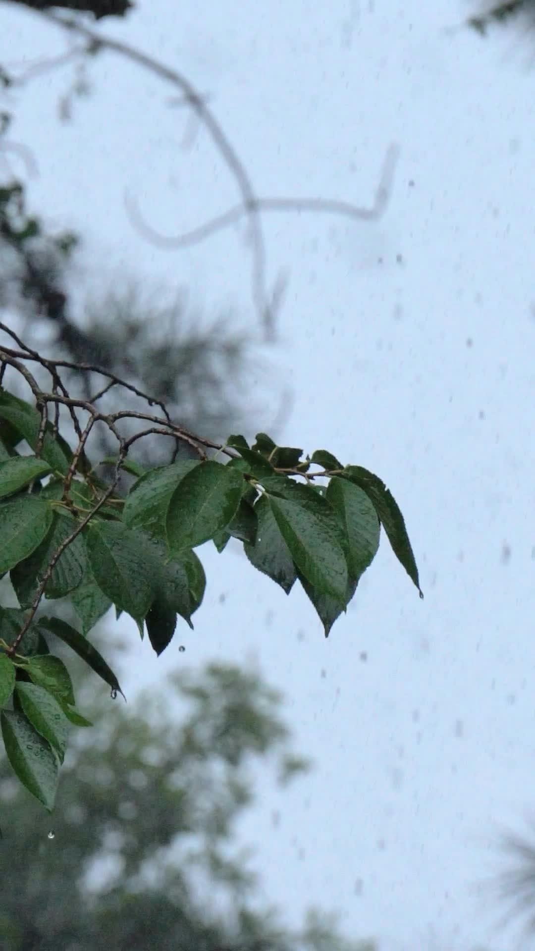 Light Sprinkle Background Videos, Download The BEST Free 4k Stock Video ...