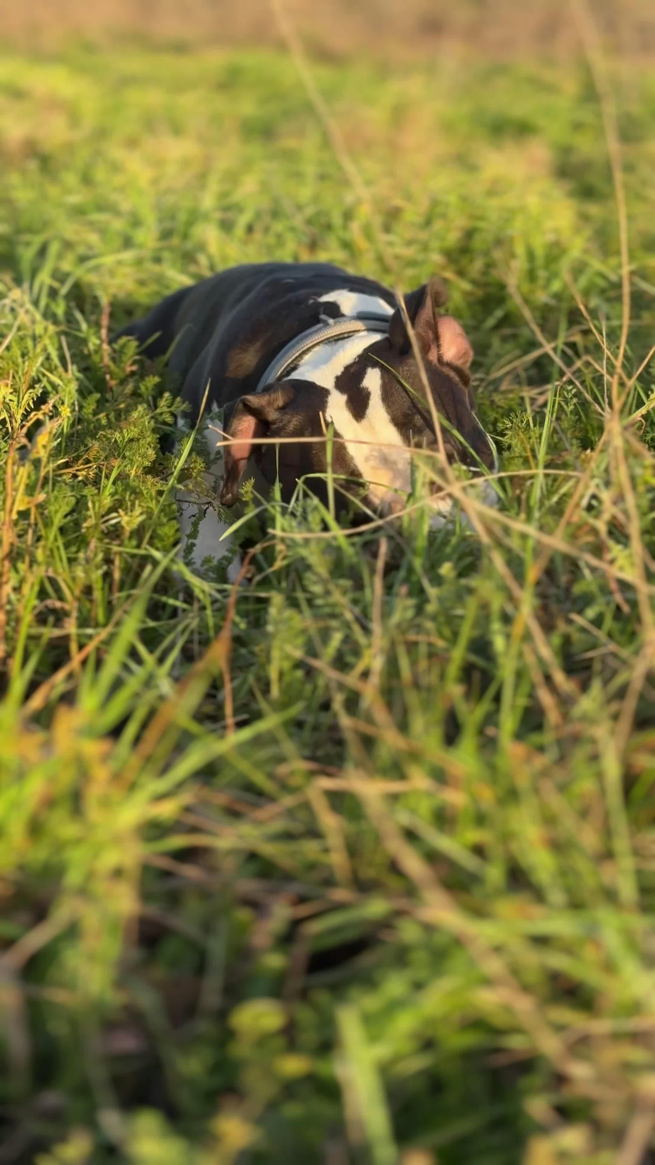 Waiting Footage Videos, Download The BEST Free 4k Stock Video Footage ...