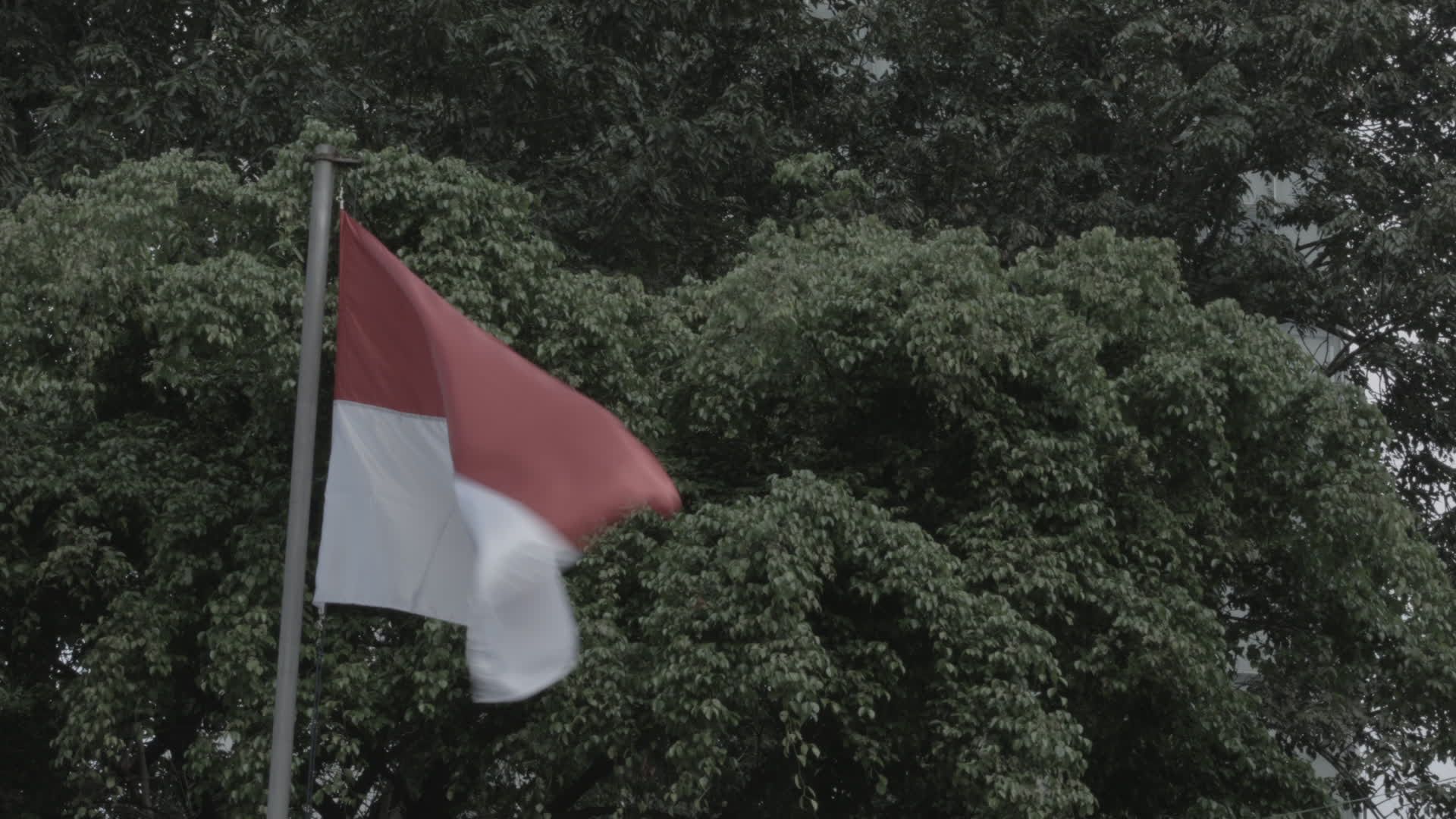 Indonesia Flag Videos, Download The BEST Free 4k Stock Video Footage ...