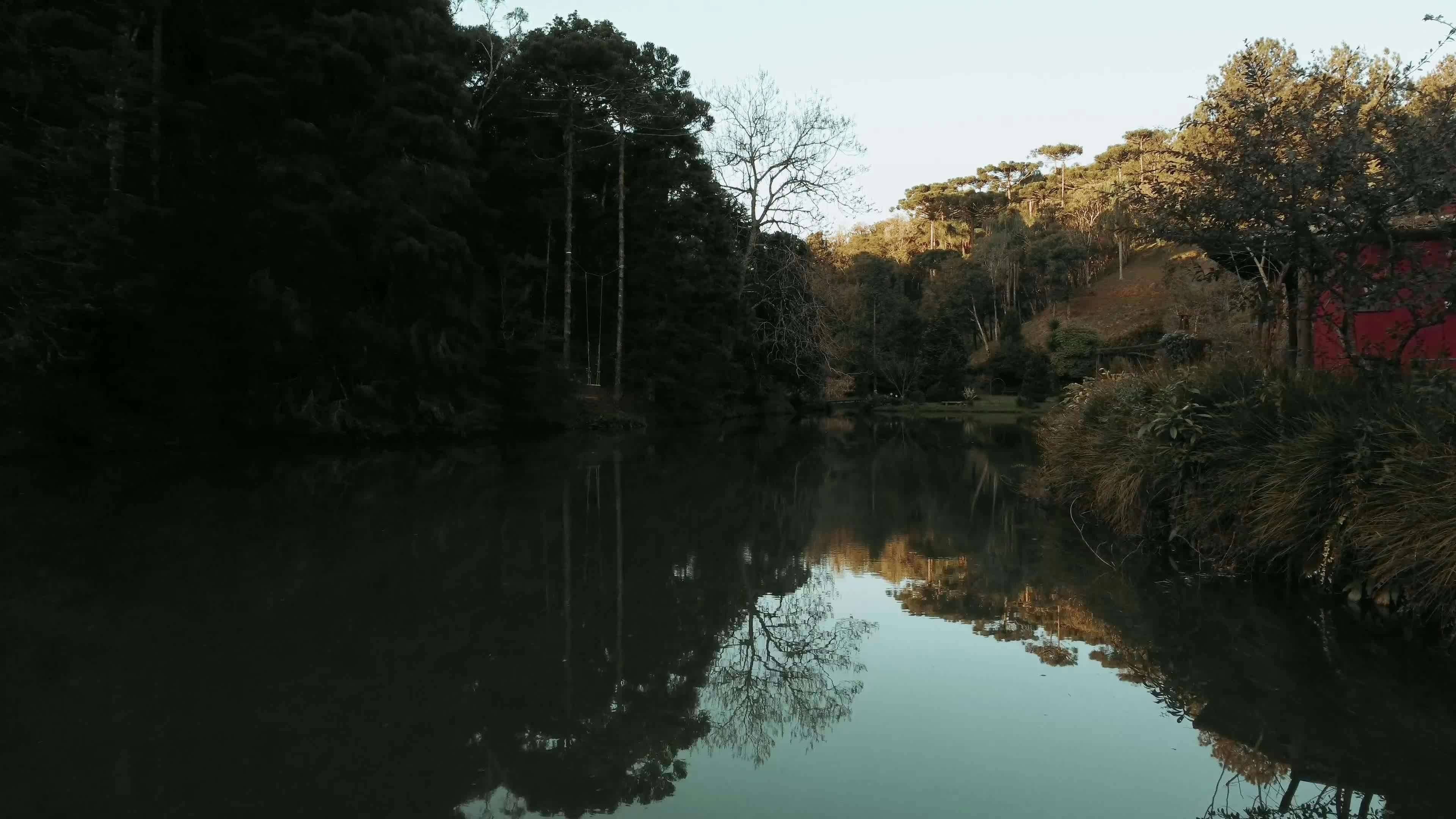 Alexander Mass - 사진