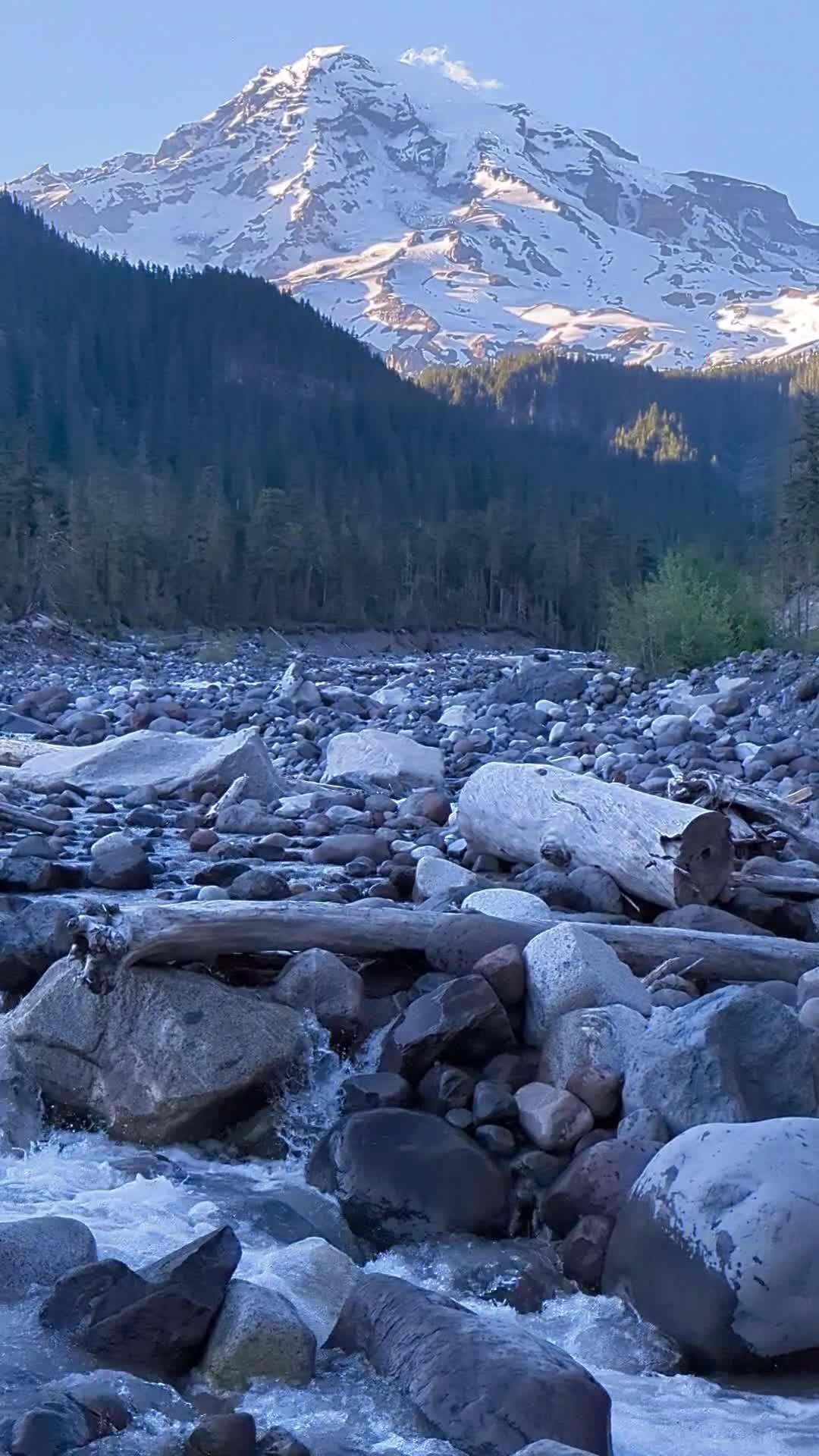 Mt. Rainier Free Stock Video Footage, Royalty-Free 4K & HD Video Clip