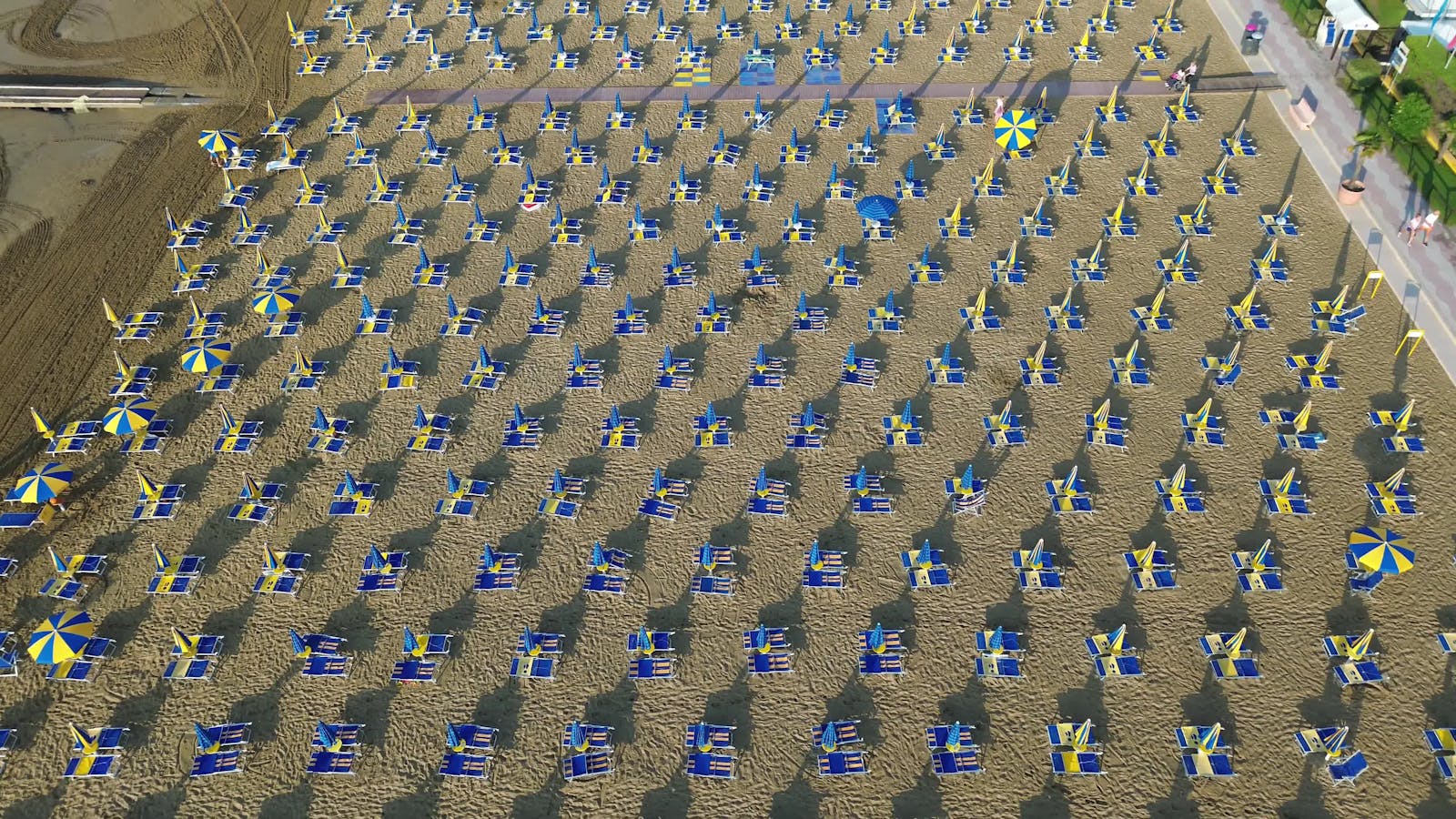 Row Video Videos, Download The BEST Free 4k Stock Video Footage & Row ...