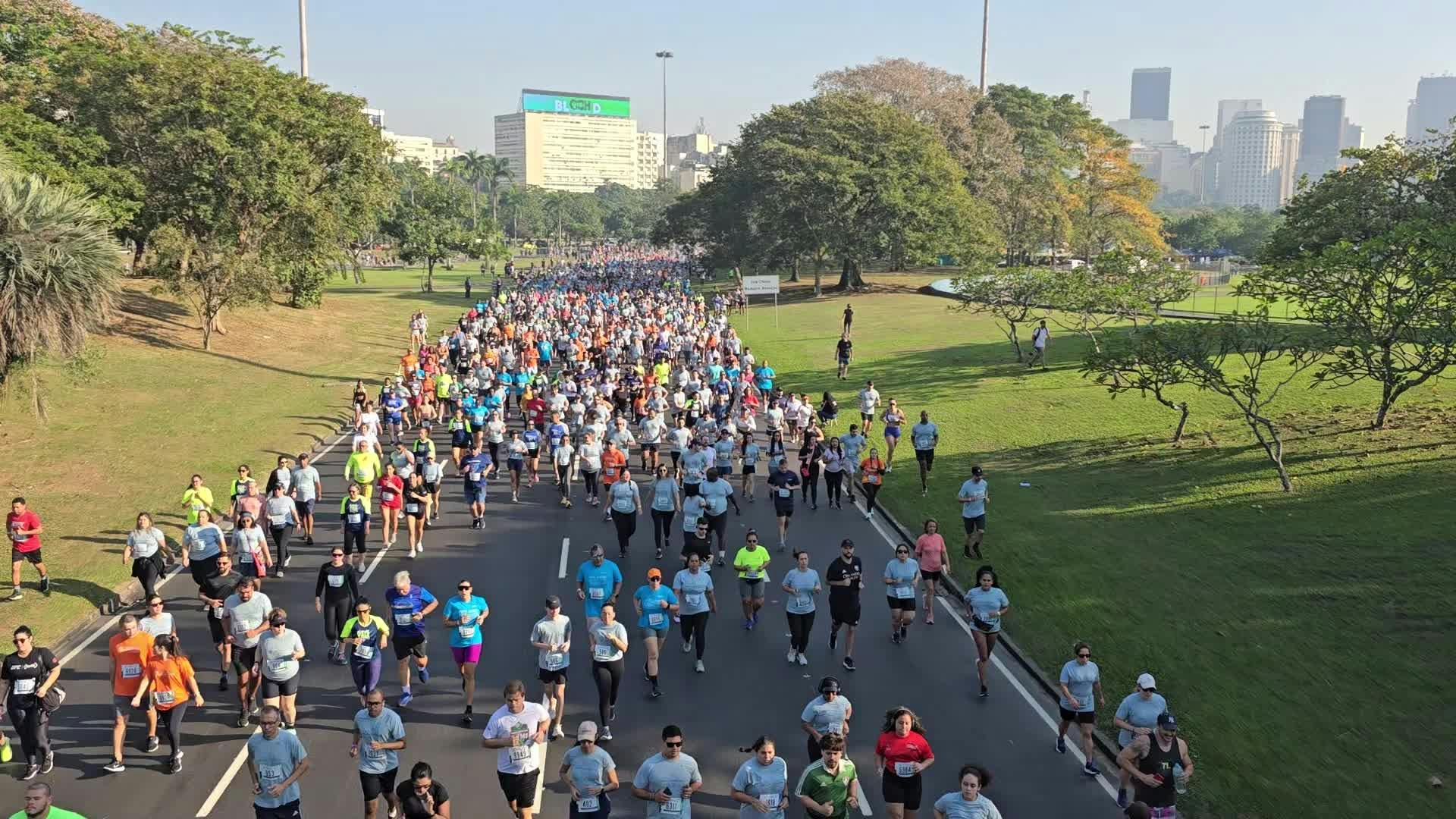 A large group of people running in a park Free Stock Video Footage ...