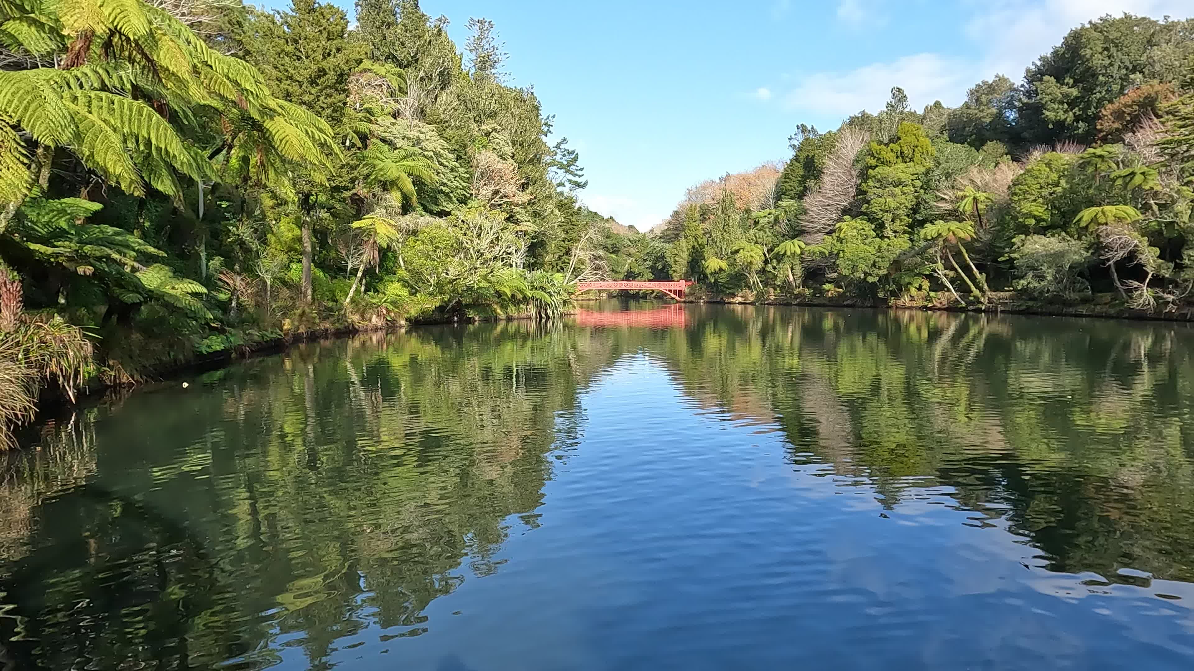 Pukekura Park Free Stock Video Footage, Royalty-Free 4K & HD Video Clip