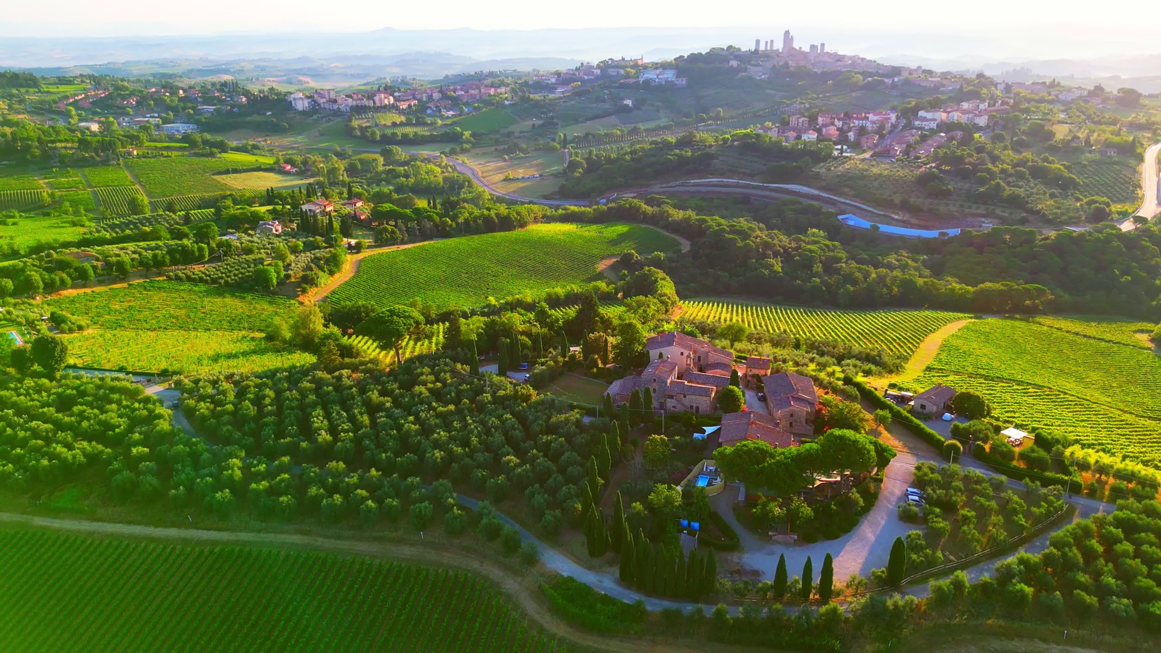 Wine Vinyard Videos, Download The BEST Free 4k Stock Video Footage ...
