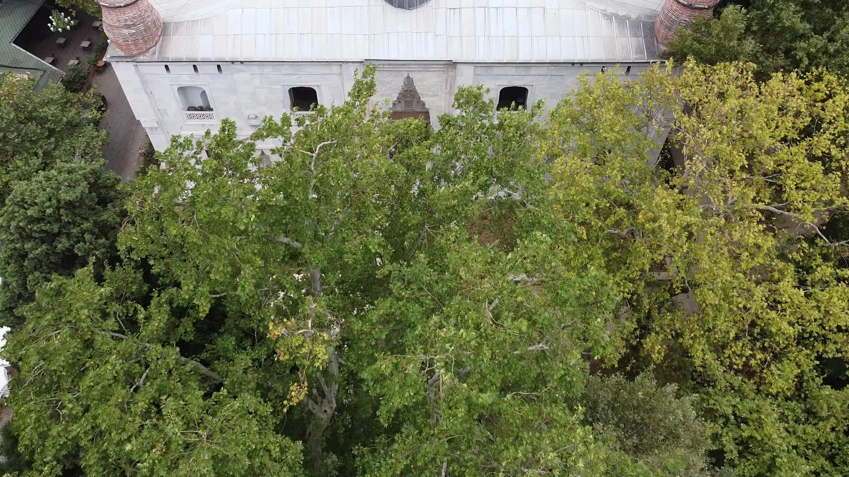 Texture De Manzara Videos, Download The BEST Free 4k Stock Video ...