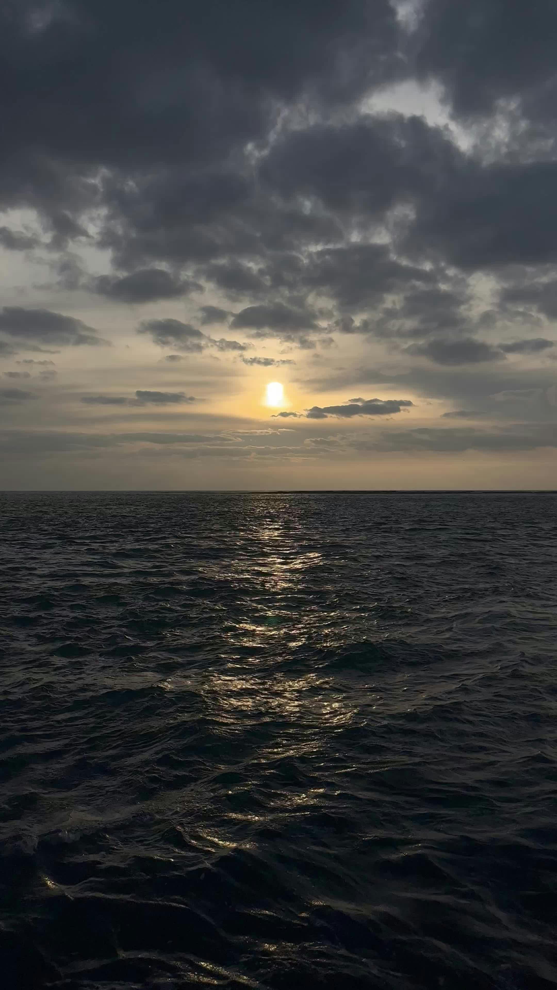 Harish R - Fotografía