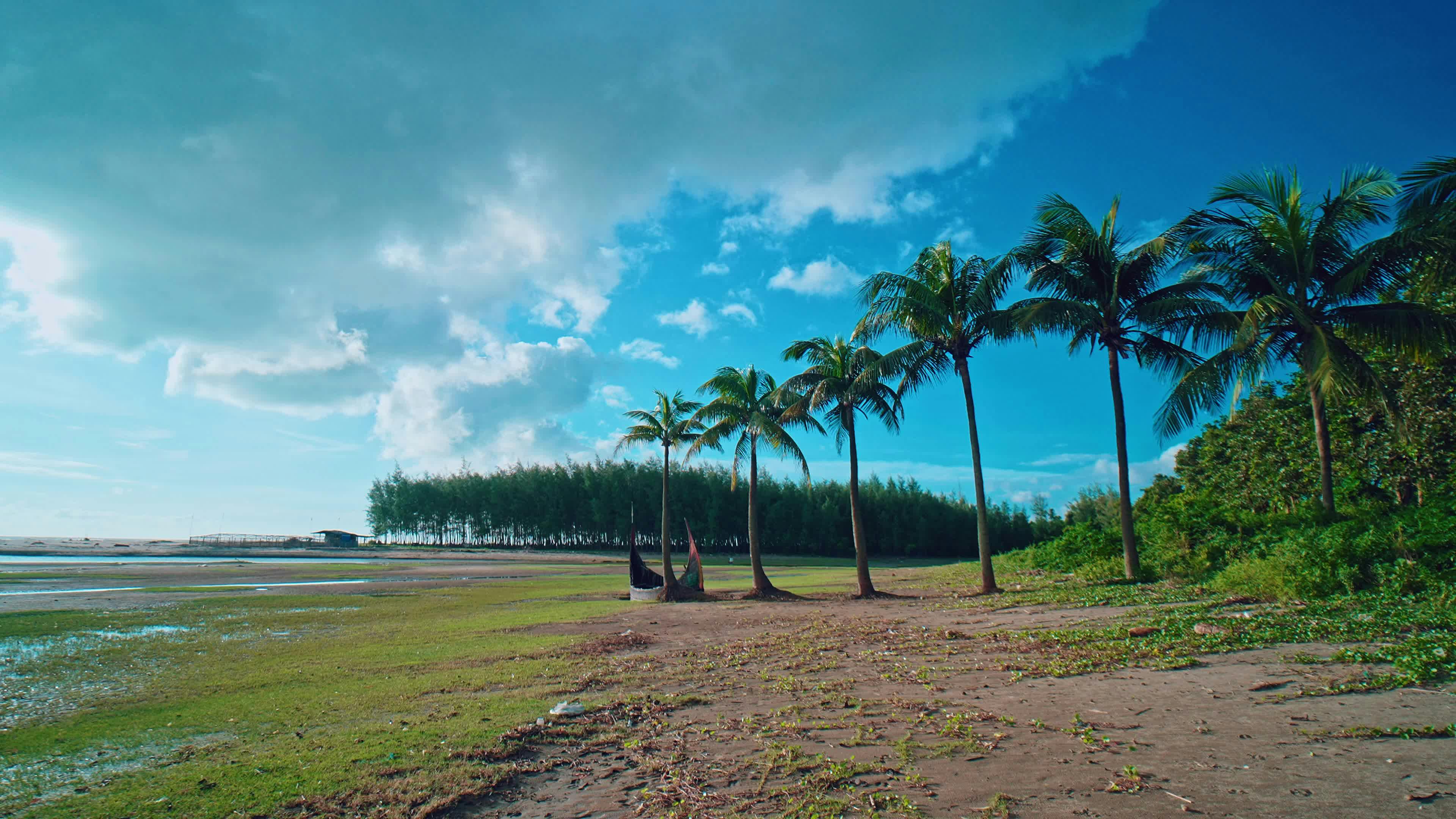 Free Nature Background Video Videos, Download The BEST Free 4k Stock ...