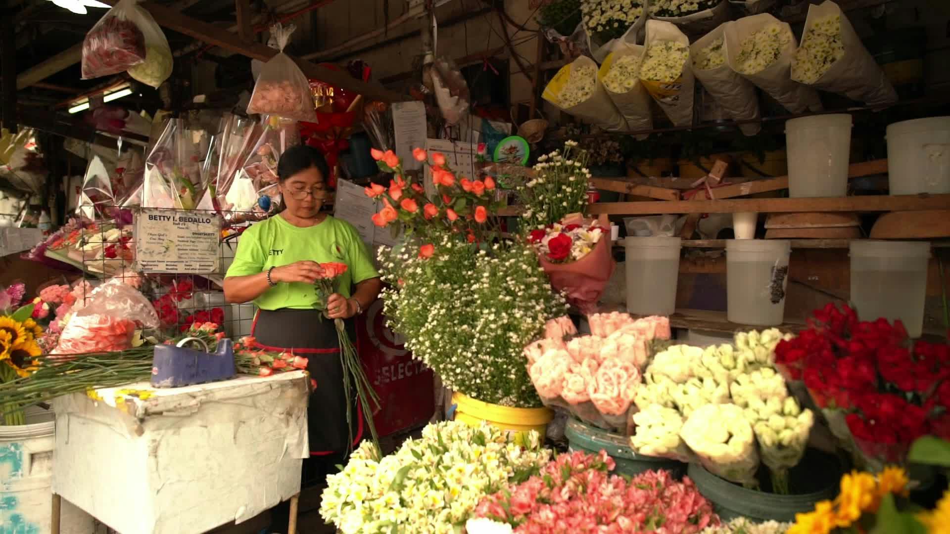 Road side flower shops in Tagaytay Philippines Free Stock Video Footage ...