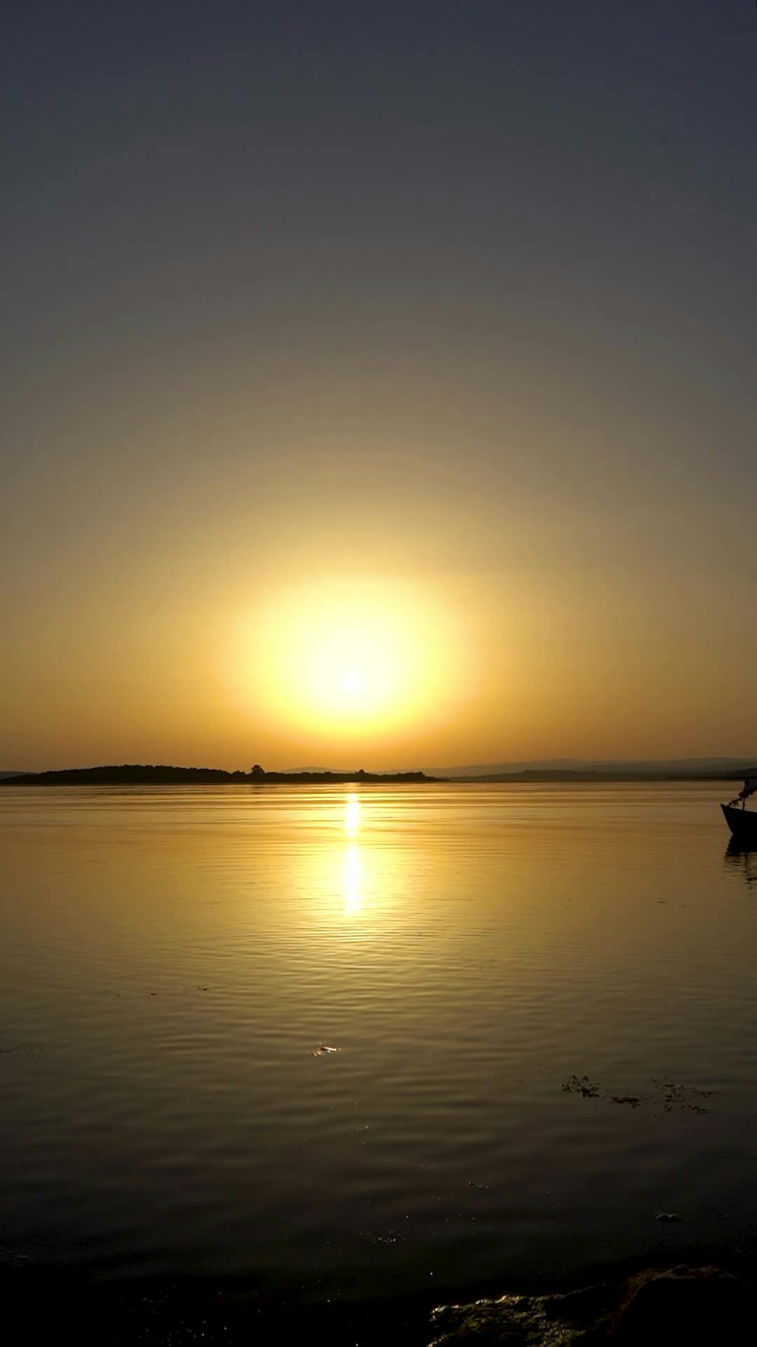 Silhouette of Grass Swaying in the Wind at Sunset Free Stock Video ...