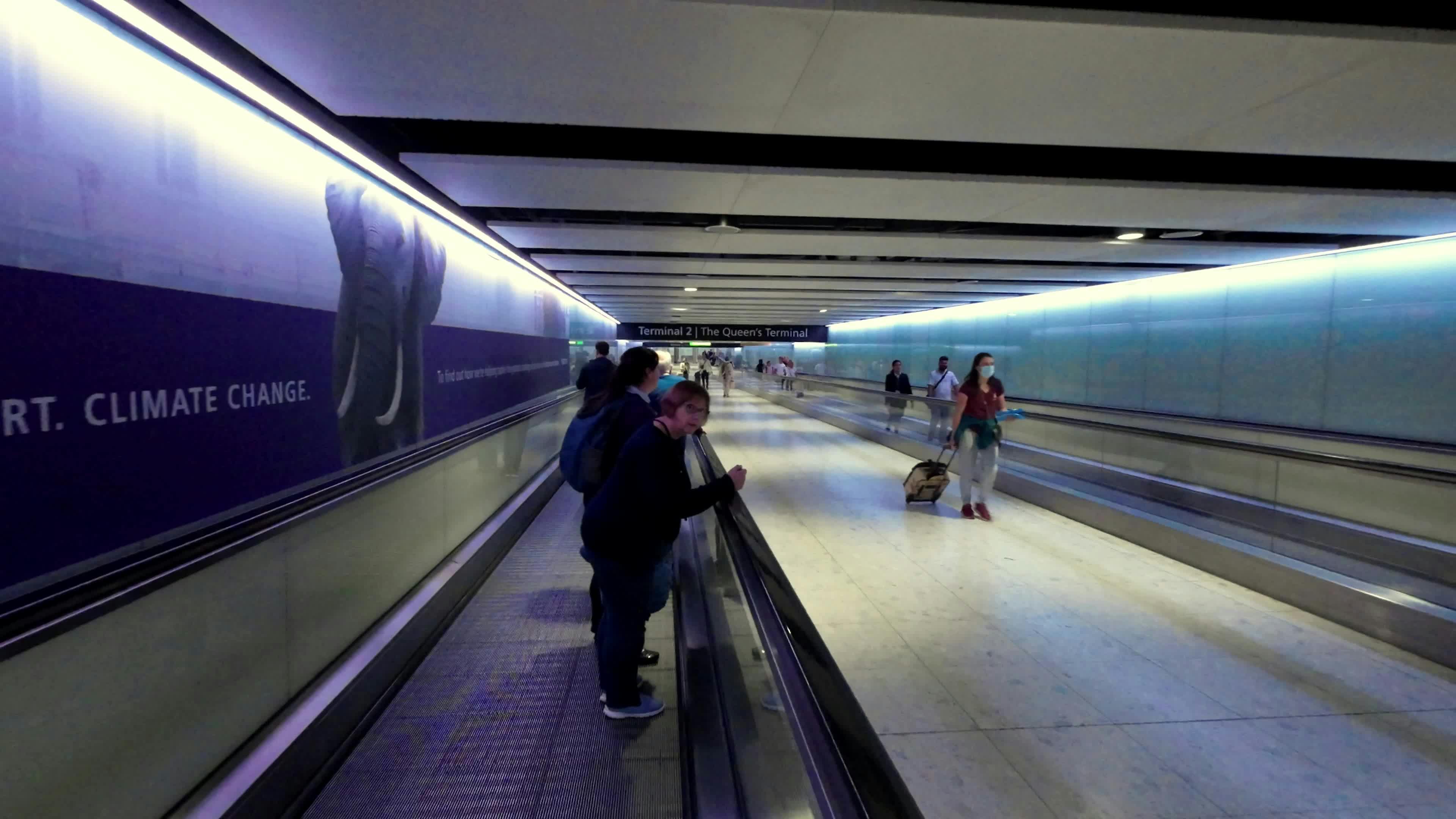 Airport Terminal with Moving Walkway and Travelers Free Stock Video ...